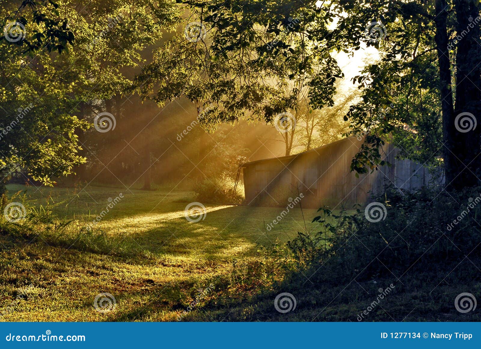 Loods in de ochtendzon stock foto. Image of sereen, zonsopgang - 1277134