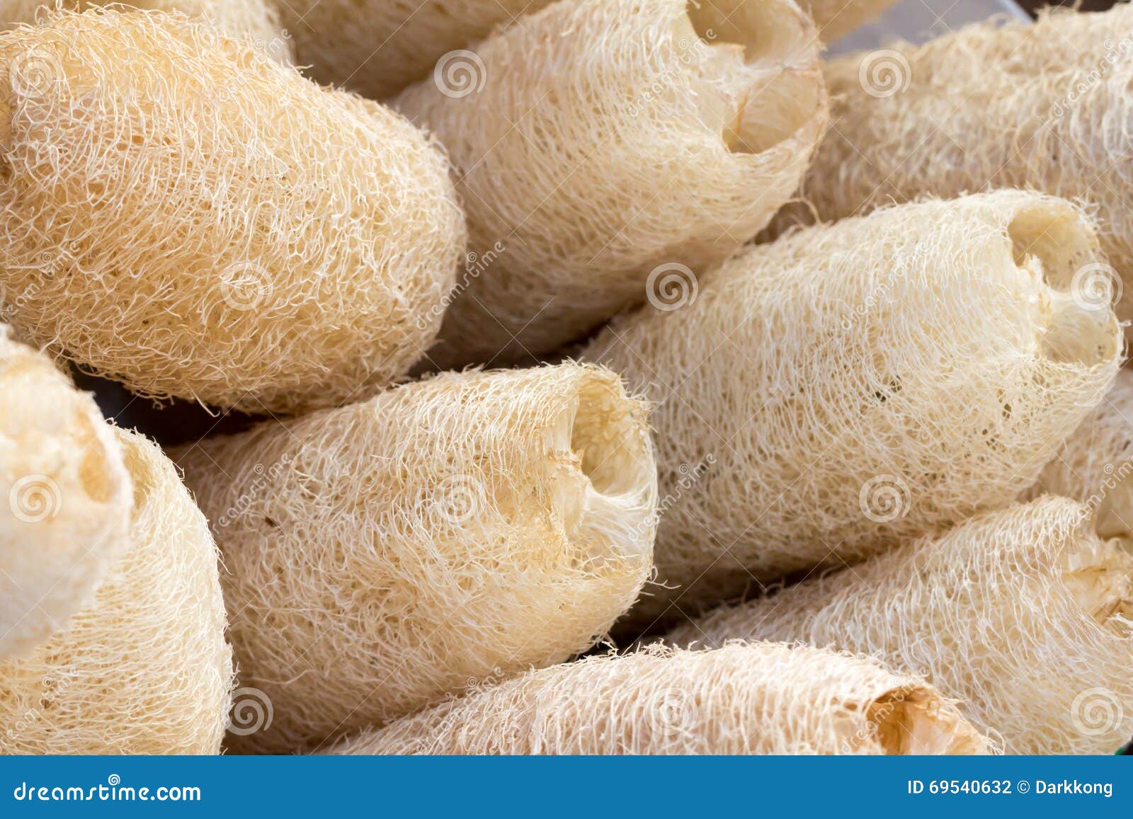 Loofa stock photo. Image of space, background, luffa - 69540632