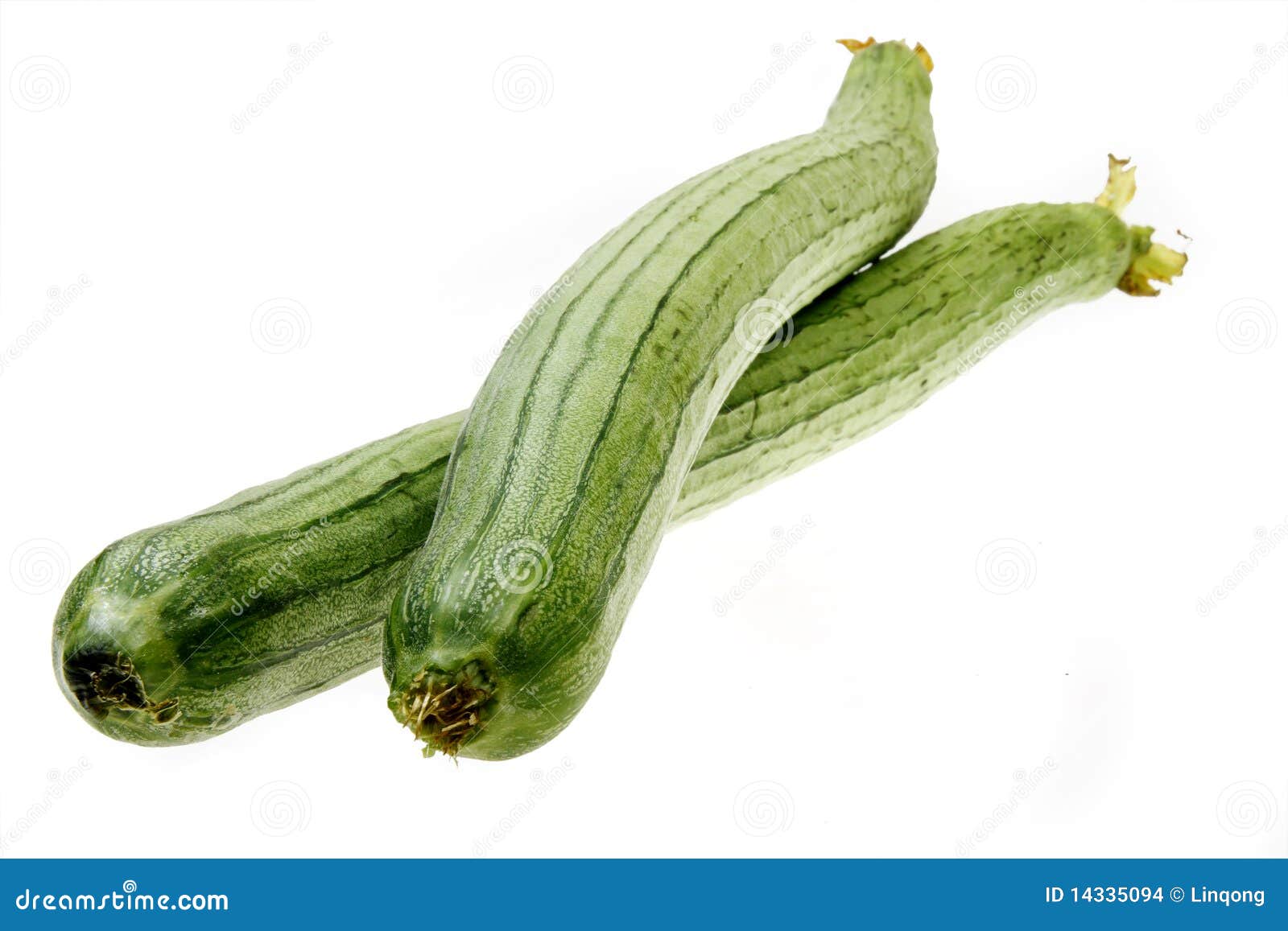 Loofah stock photo. Image of soup, design, chinese, medicinal - 14335094