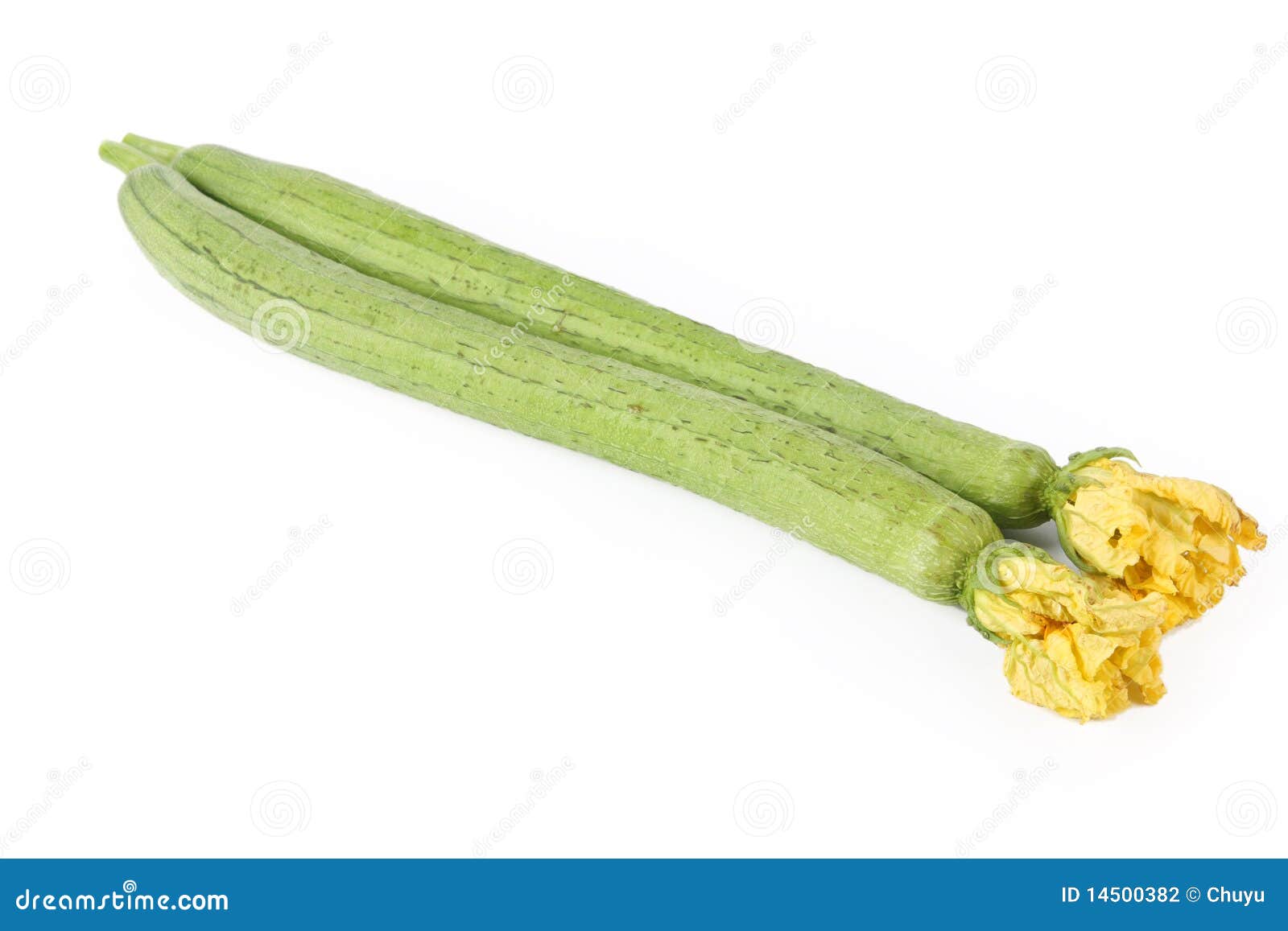 Loofah stock photo. Image of berry, asian, sponge, food - 14500382