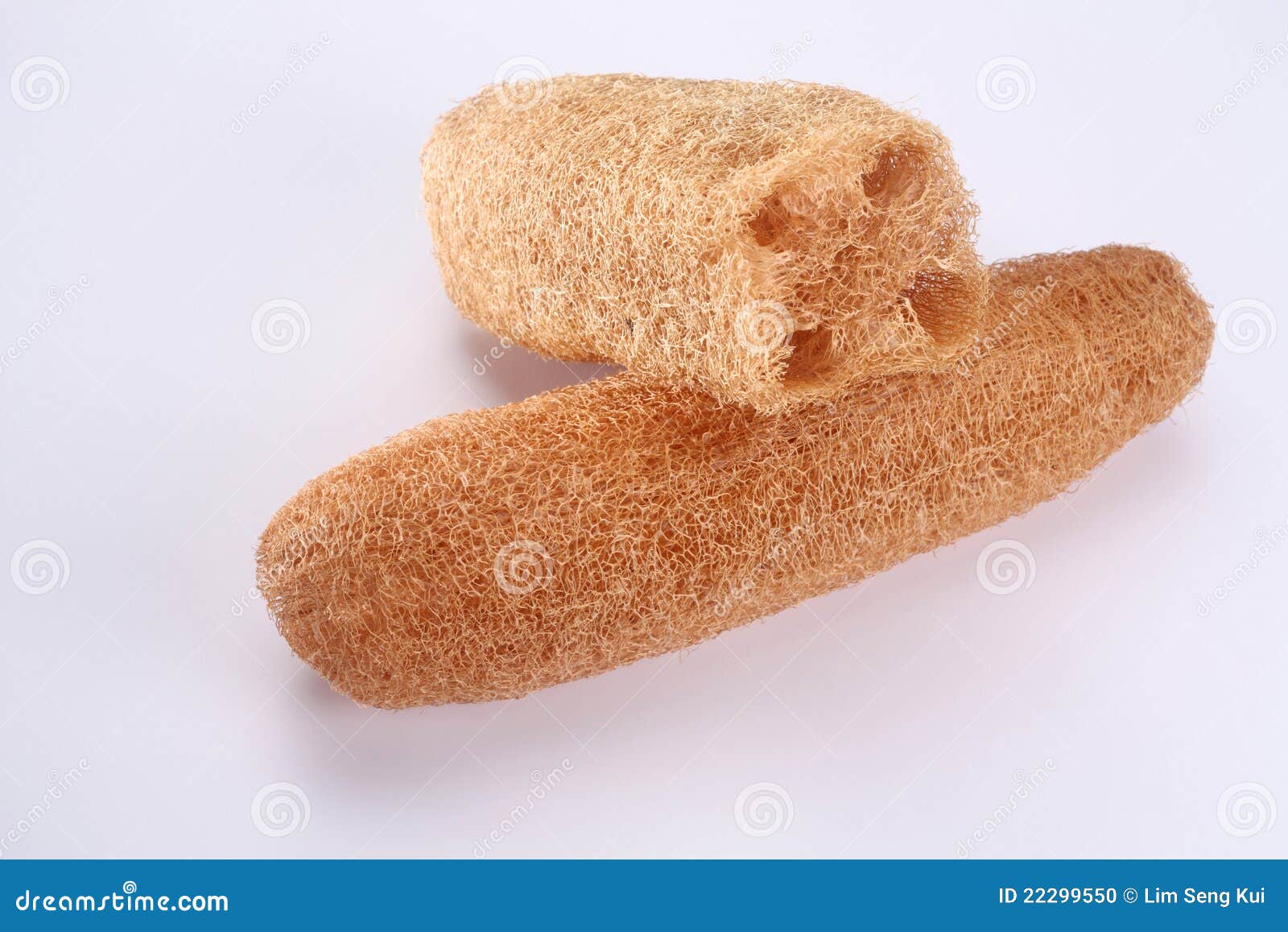 Loofah stock photo. Image of purity, simplicity, sponge - 22299550