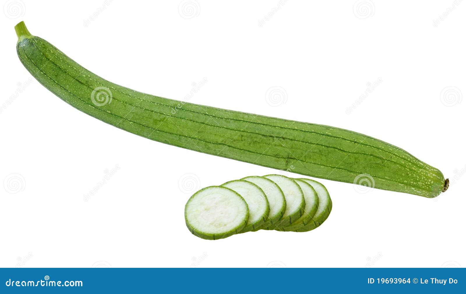 Loofah Luffa stock photo. Image of loofah, food, tasty - 19693964