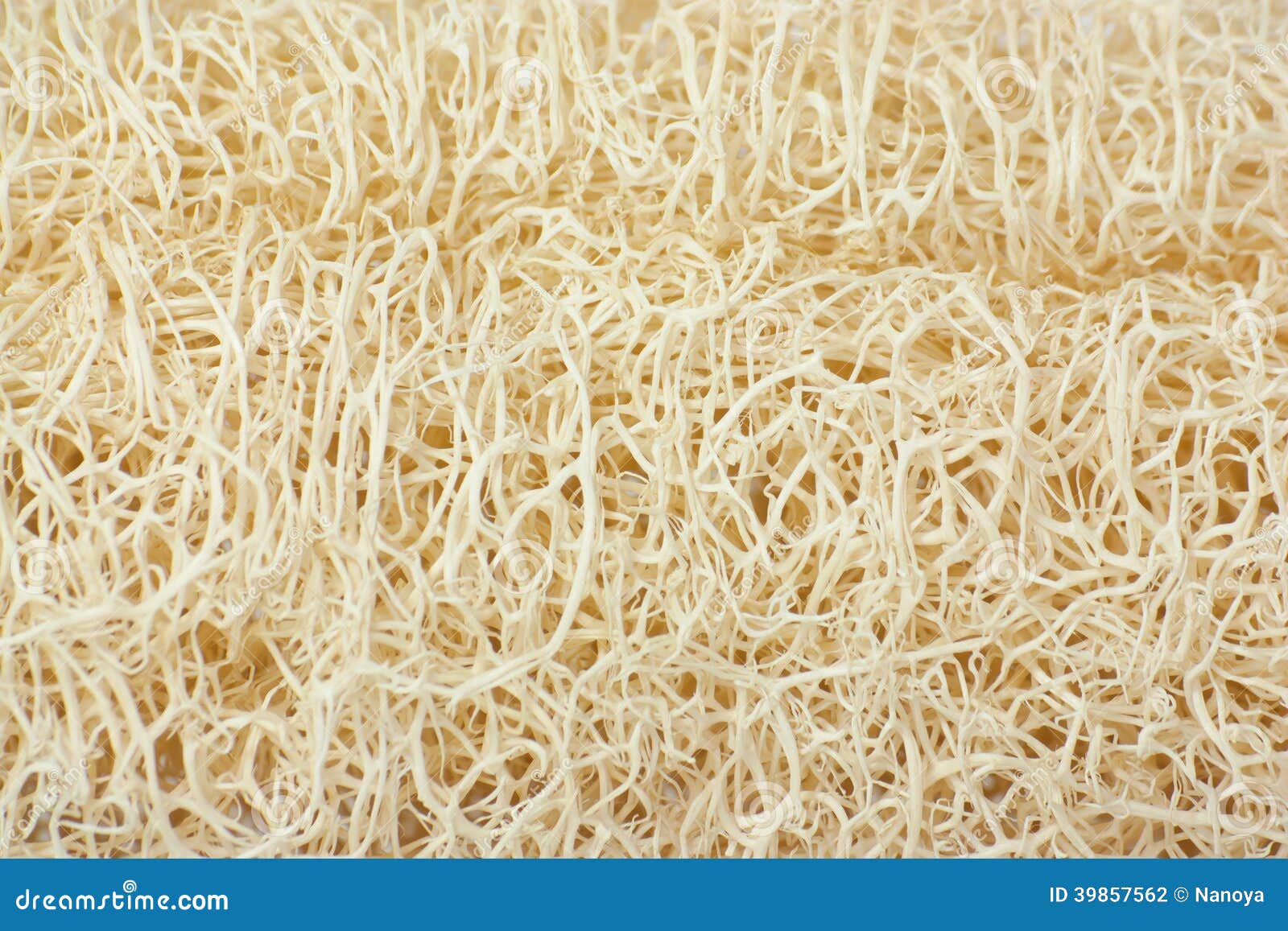Loofah texture stock photo. Image of closeup, pattern - 39857562