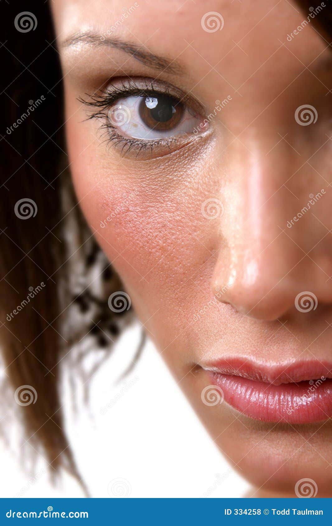 The Look stock photo. Image of head, pretty, intense, woman - 334258