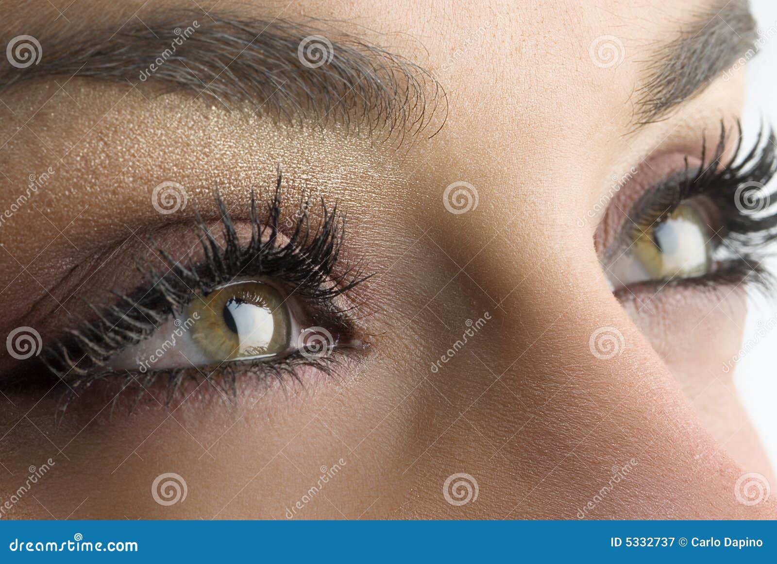 The look stock image. Image of fresh, people, care, makeup - 5332737