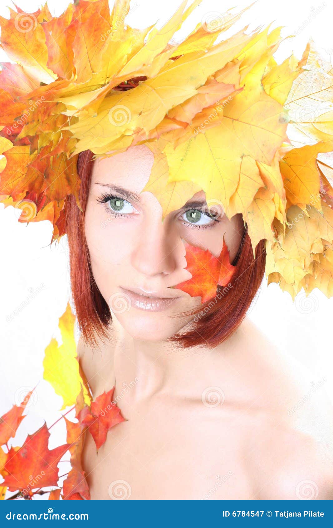 Look stock image. Image of maple, beauty, adult, lifestyles - 6784547