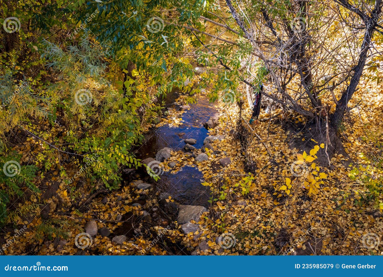 Looking Down on River stock image. Image of light, brook - 235985079