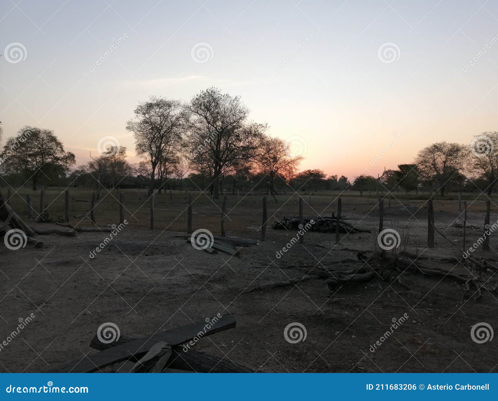 LOOK at this BEAUTIFUL SUMMER AFTERNOON Stock Photo - Image of verano ...