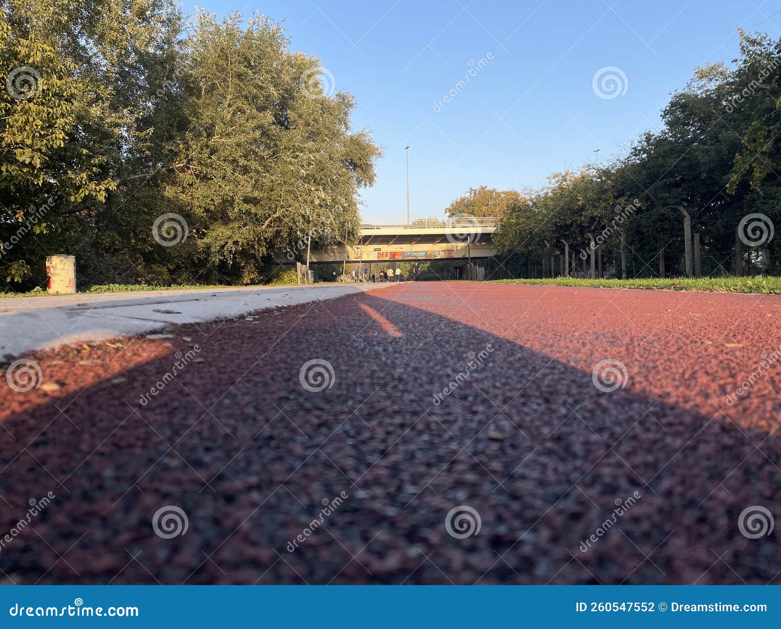 Look from below stock photo. Image of winter, look, autumn - 260547552