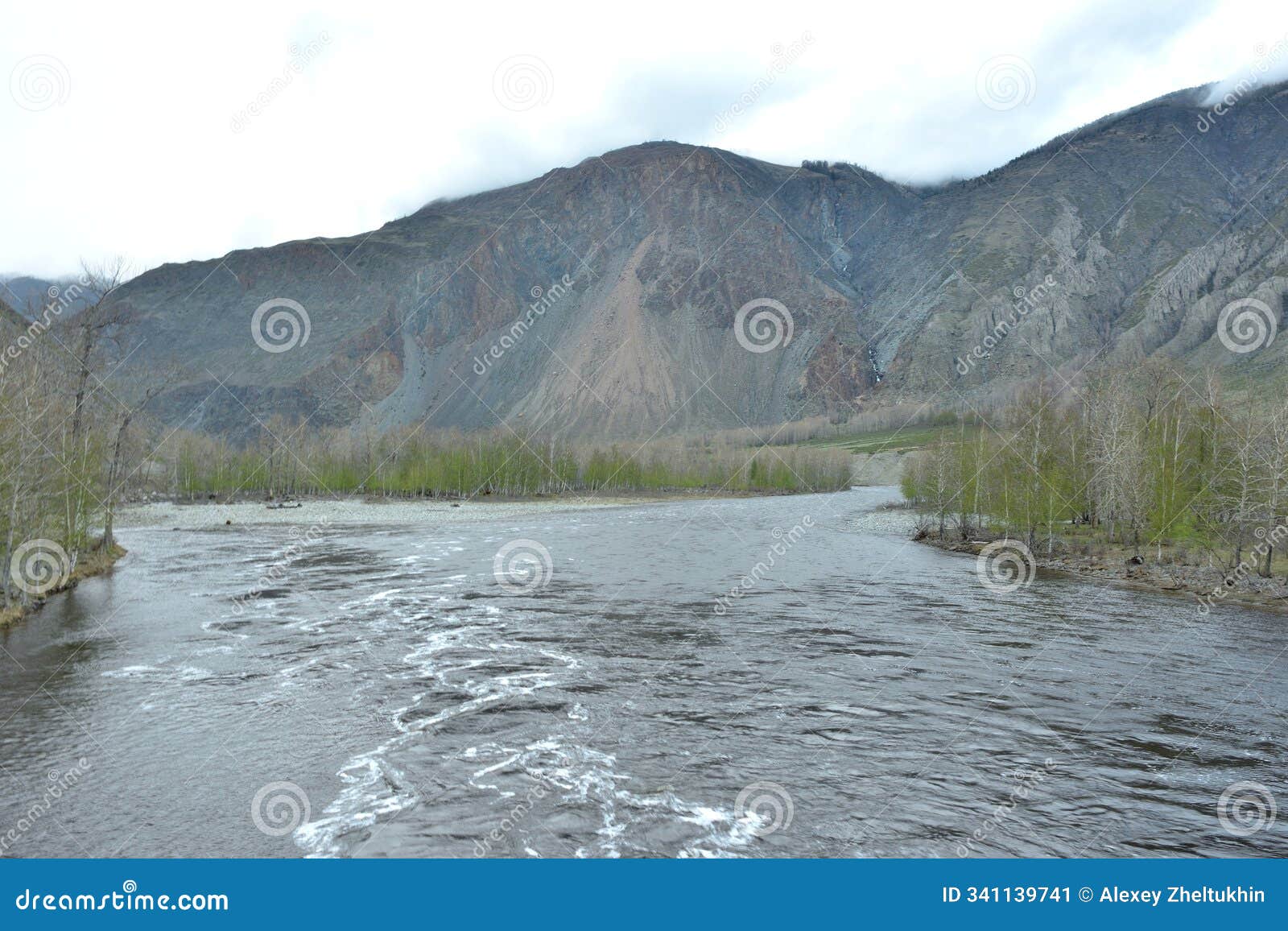 A Look at the Bifurcated Bed of a Wide River Flowing Surrounded by ...