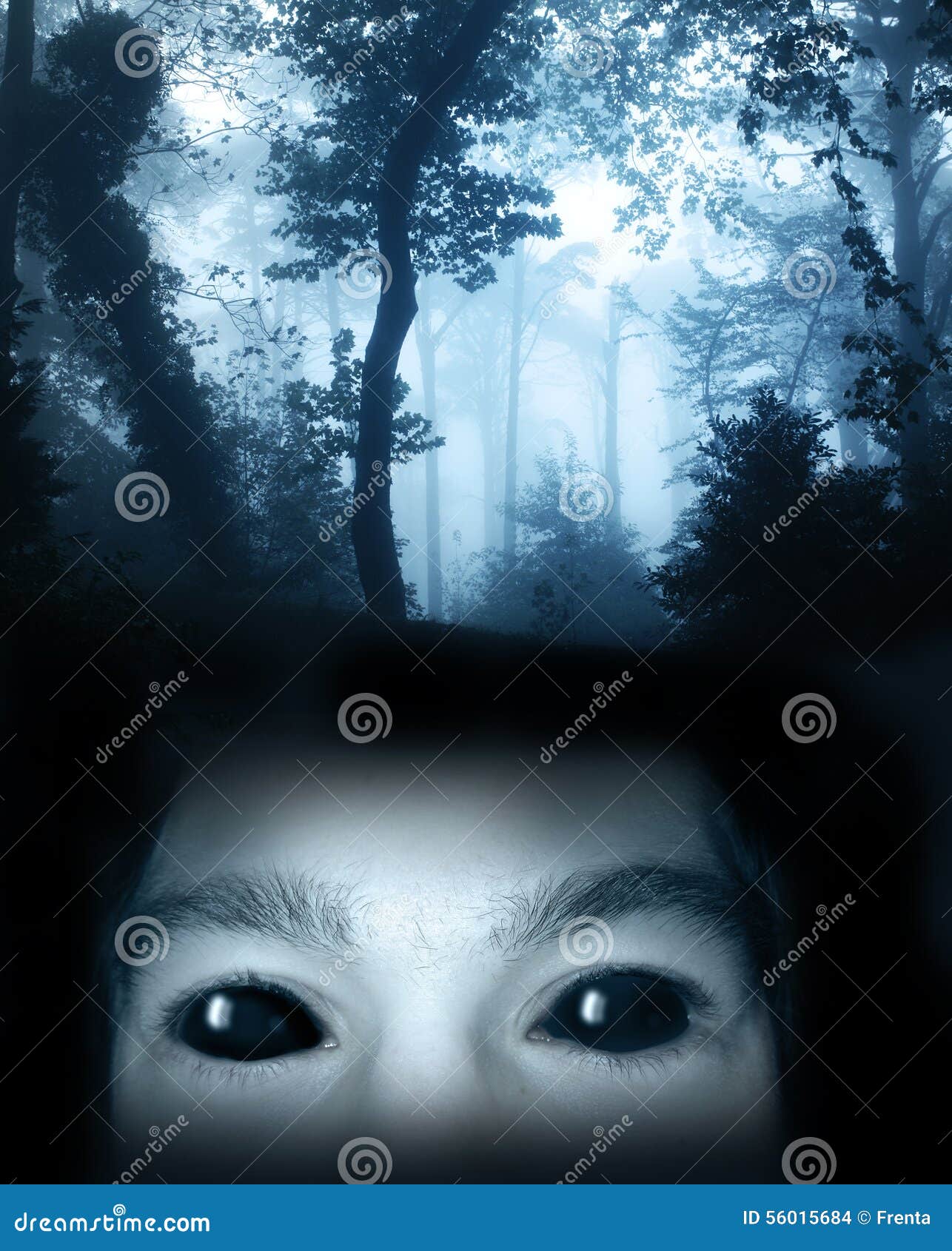 Look from darkness stock photo. Image of dusk, human - 56015684