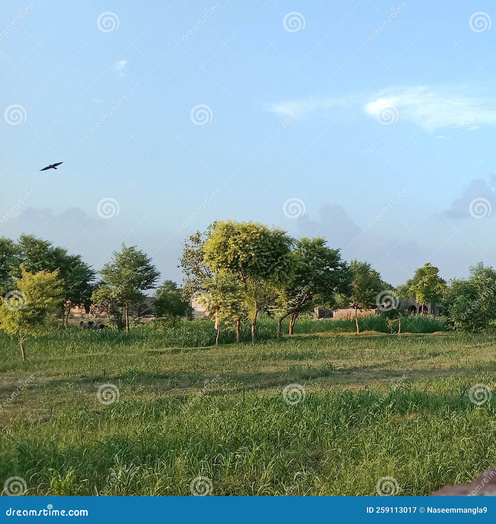 Look Deep into Nature,and Then You Will Understand Everything Better ...