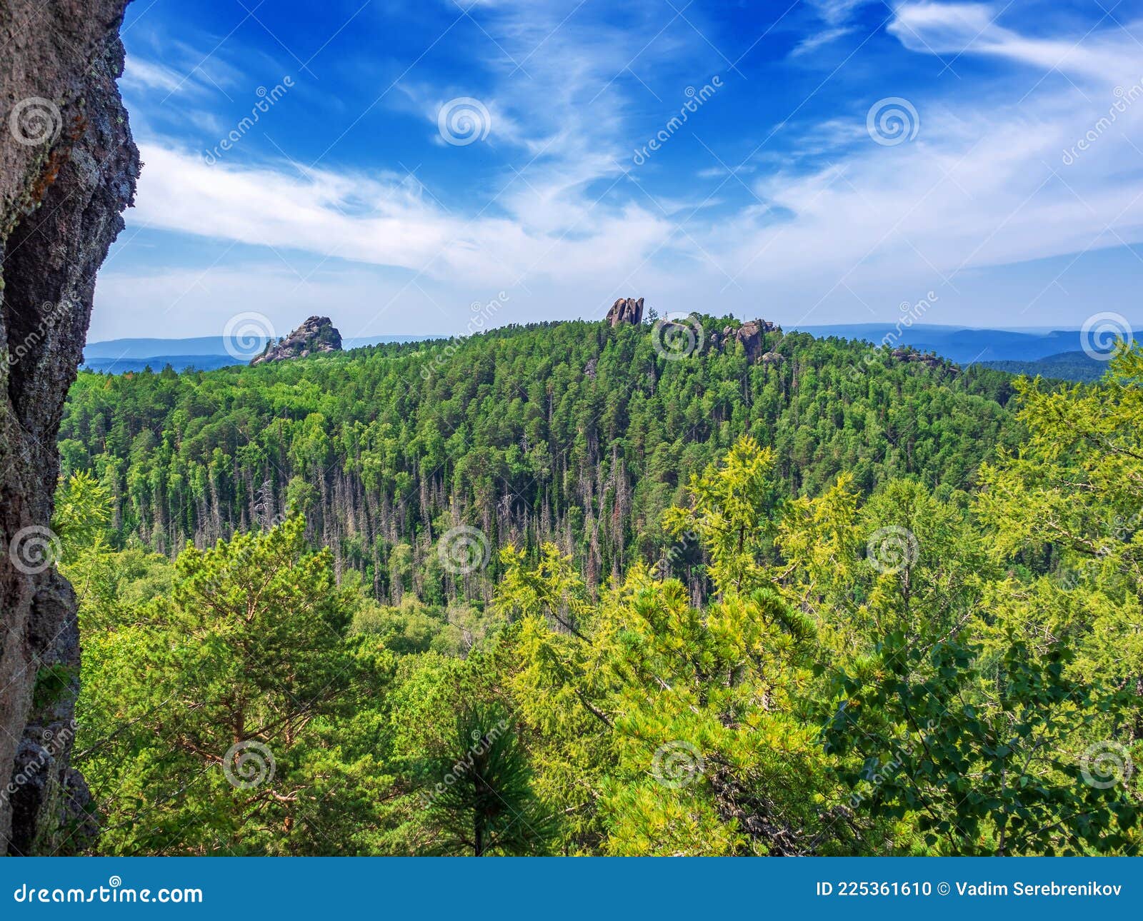 A Look at of a Dense Coniferous Forest. View from Above Stock Photo ...
