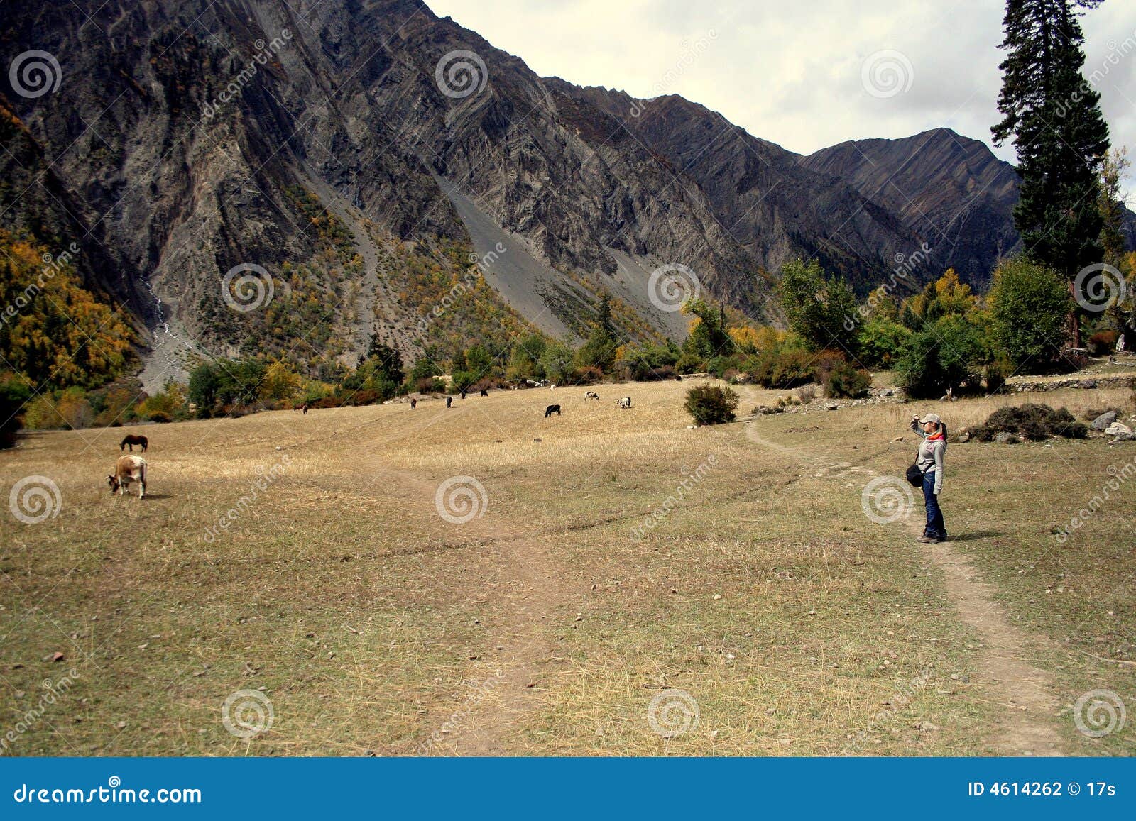 Look into the distance stock photo. Image of clouds, overlook - 4614262