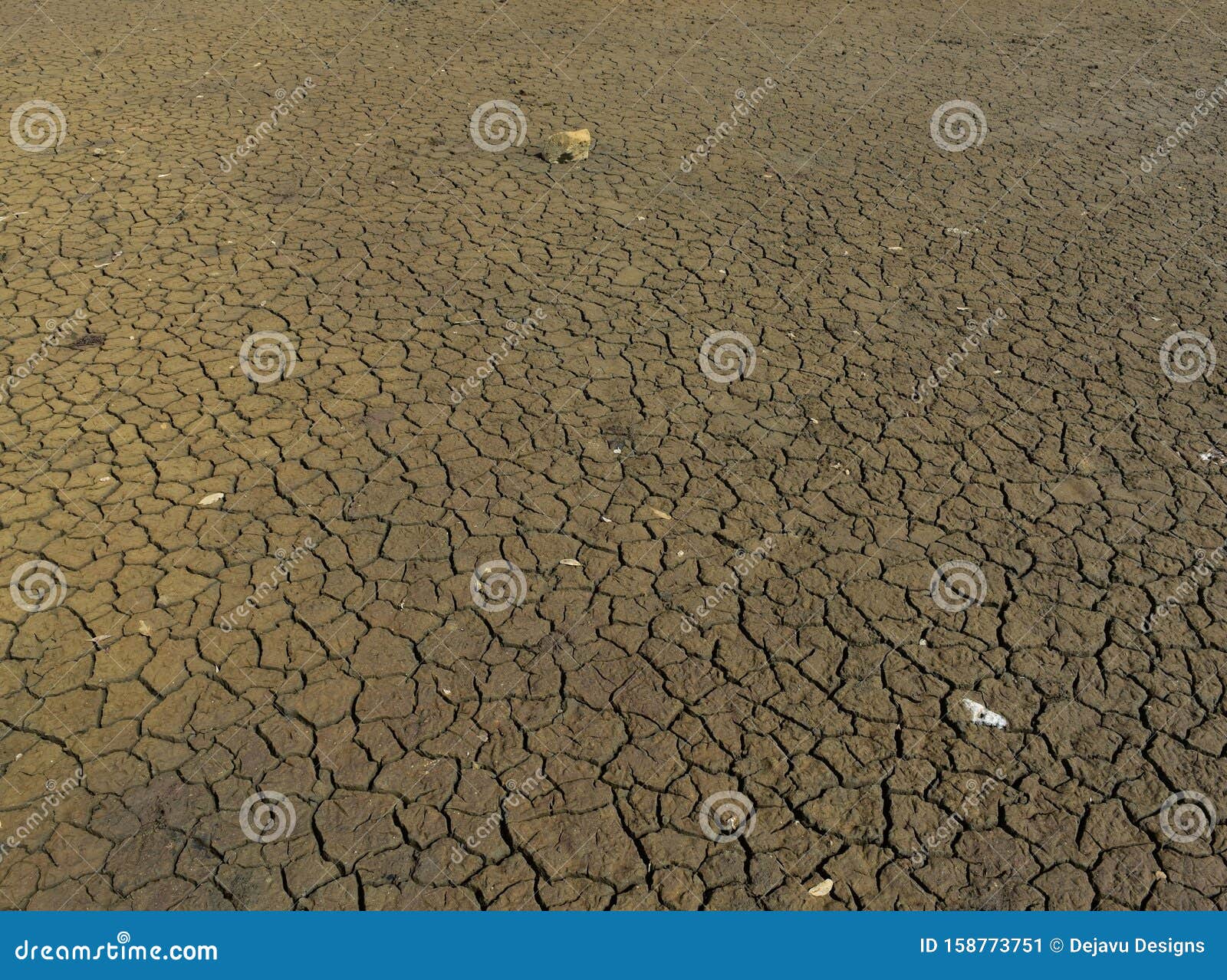 A Look at the Dried and Cracked Mud Flats of the Spanish Lagoon Stock ...