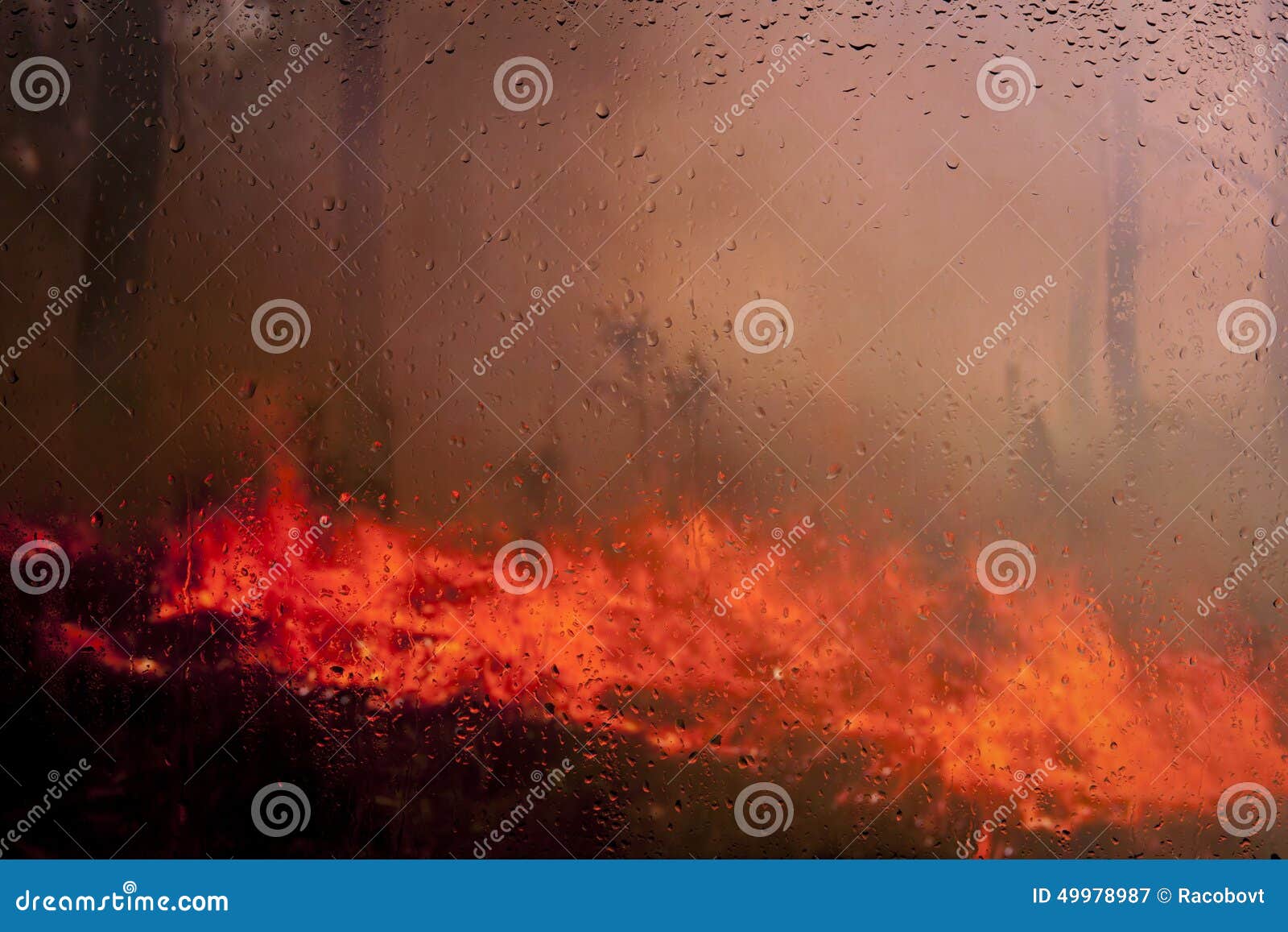 Look at the Fire in the Forest Stock Image - Image of weather, blur ...