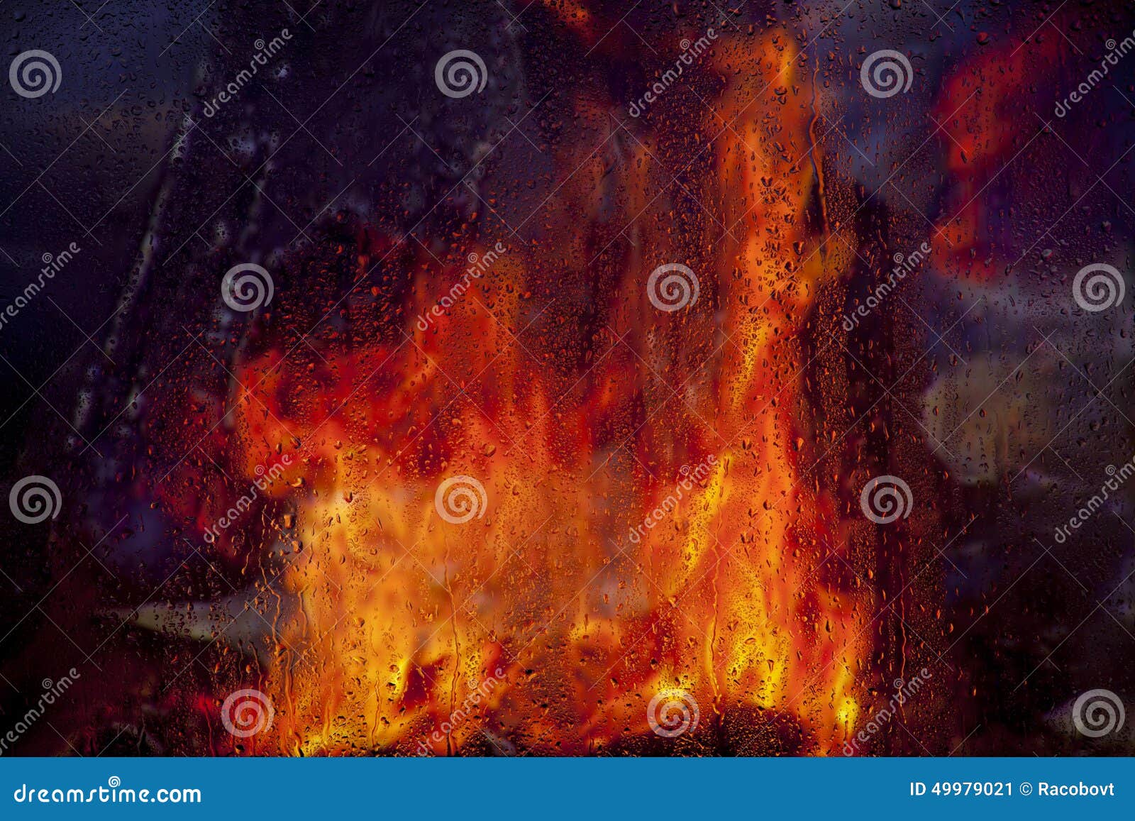 Look at the Fire in the Forest Stock Image - Image of look, relief ...