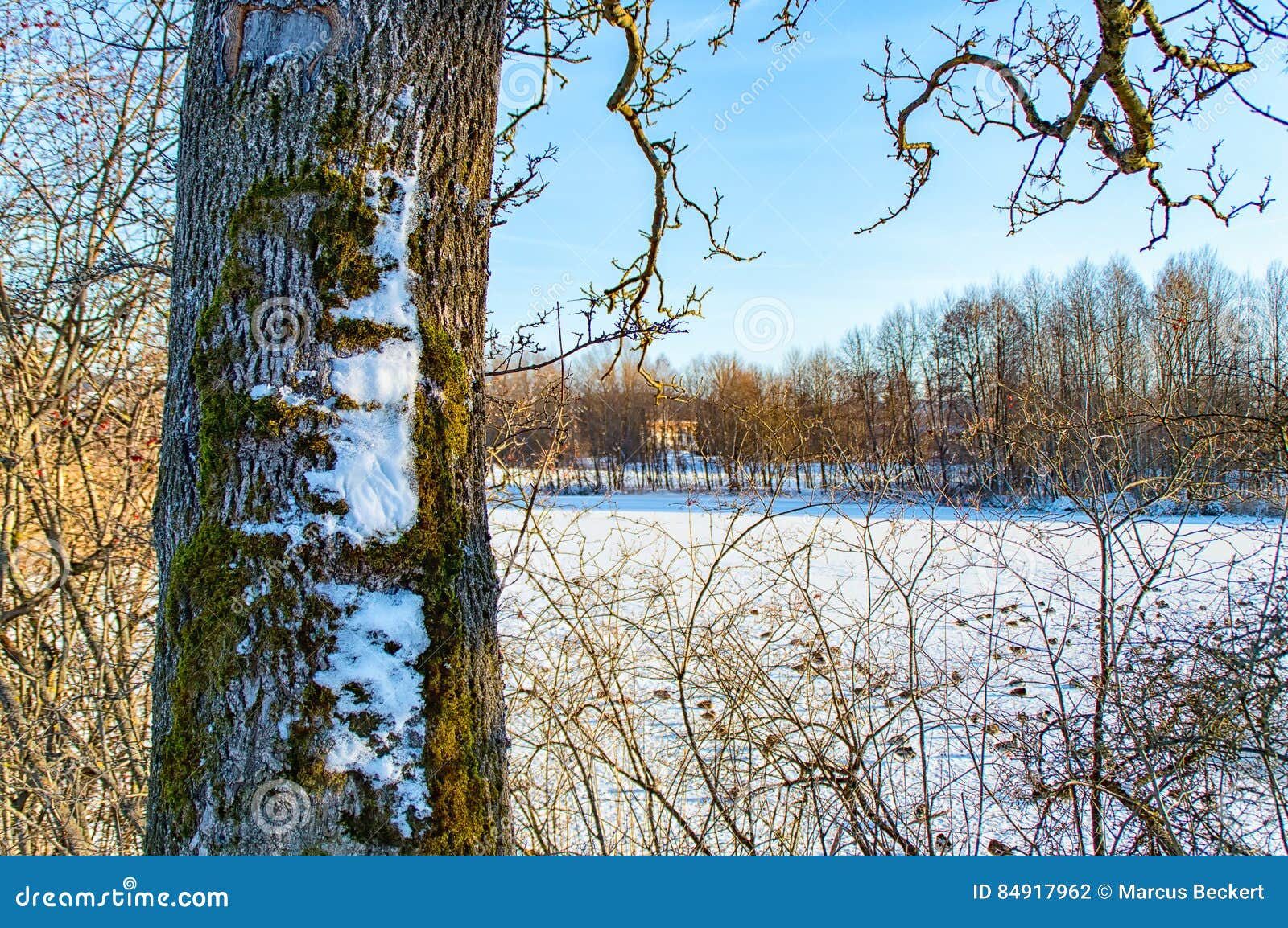 Look on a Frozen Lake in Ilmenau Thuringia, Germany Stock Photo - Image ...