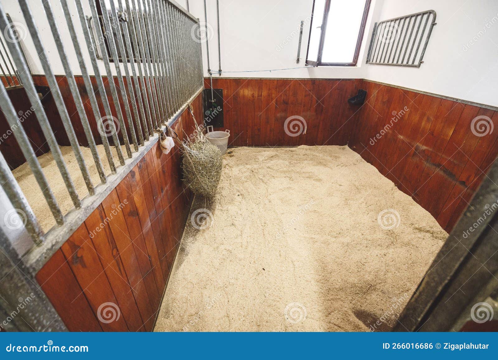 A Look Inside an Empty and Clean Horse Stable Stock Photo - Image of ...