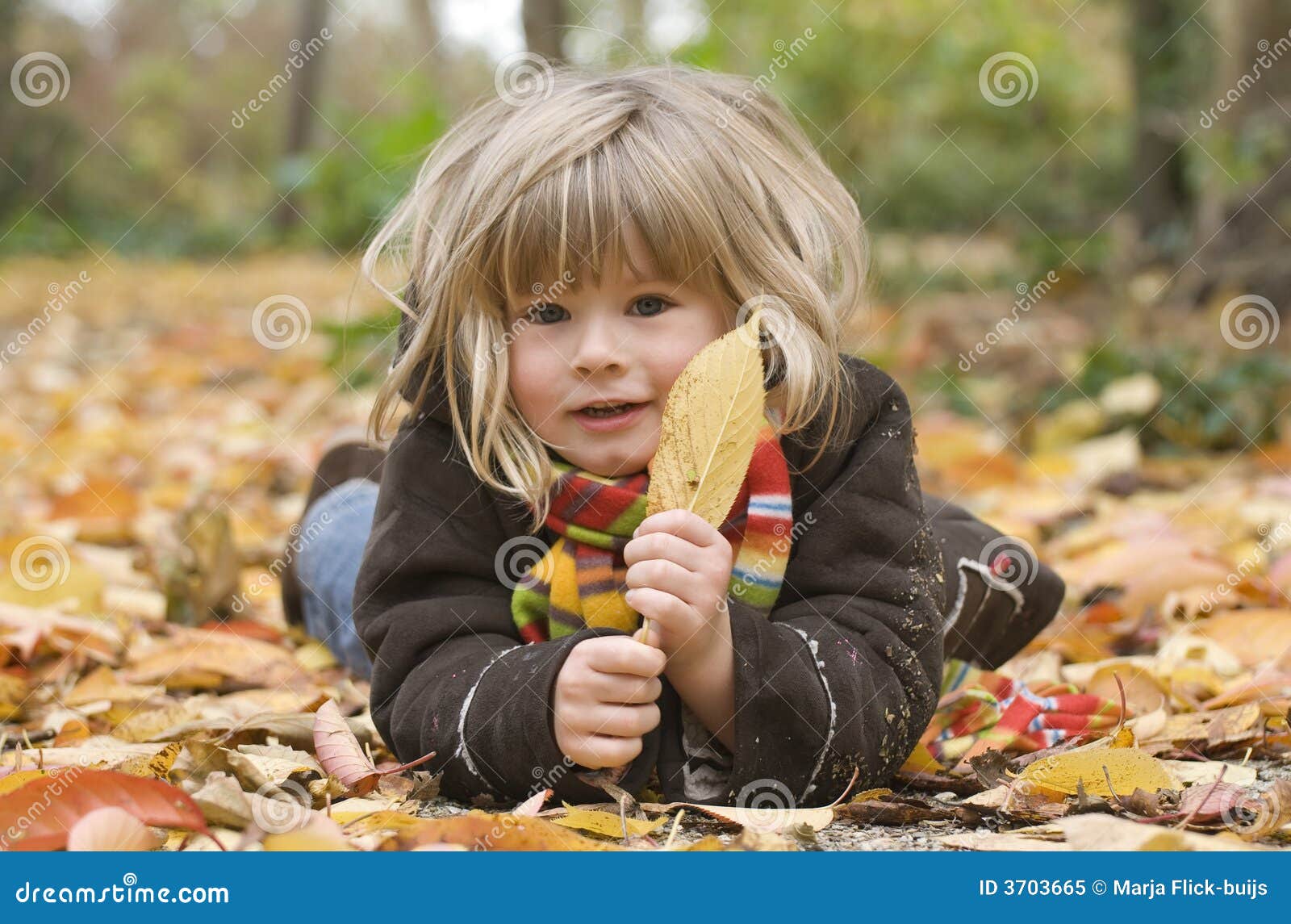 Look a leaf! stock image. Image of lying, portrait, smile - 3703665