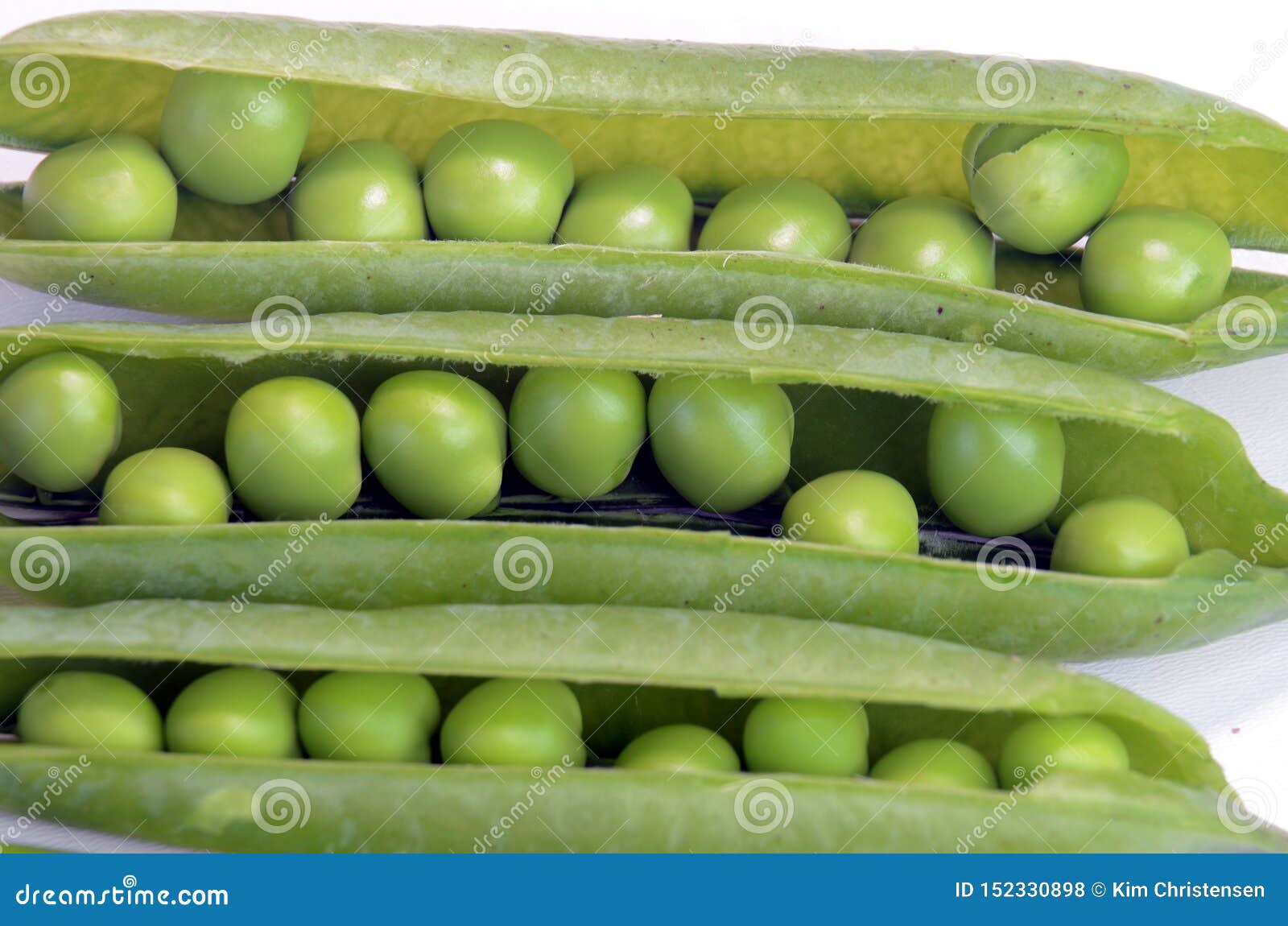 Open pea pods with peas stock photo. Image of closeup - 152330898