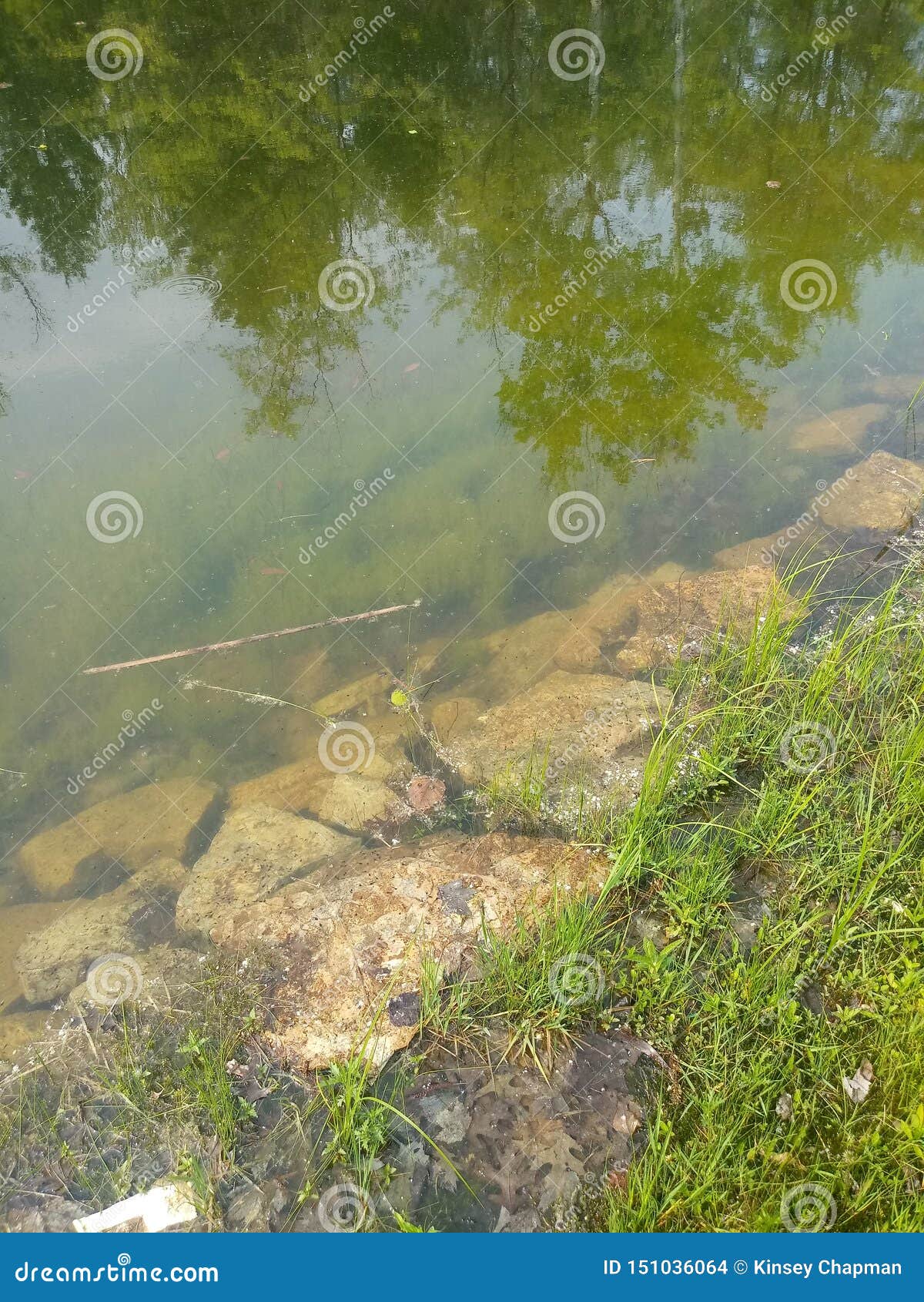 Look out below stock photo. Image of look, rocks, deep - 151036064