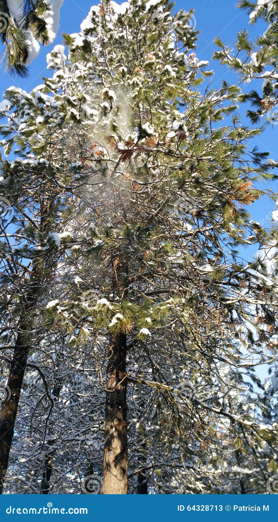 Look out below stock image. Image of look, snow, winter - 64328713
