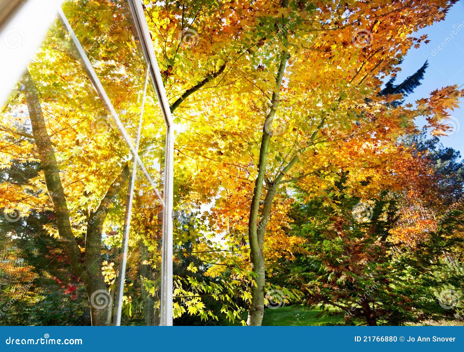 Look Out Window To Fall View Stock Photo - Image of green, sunshine ...