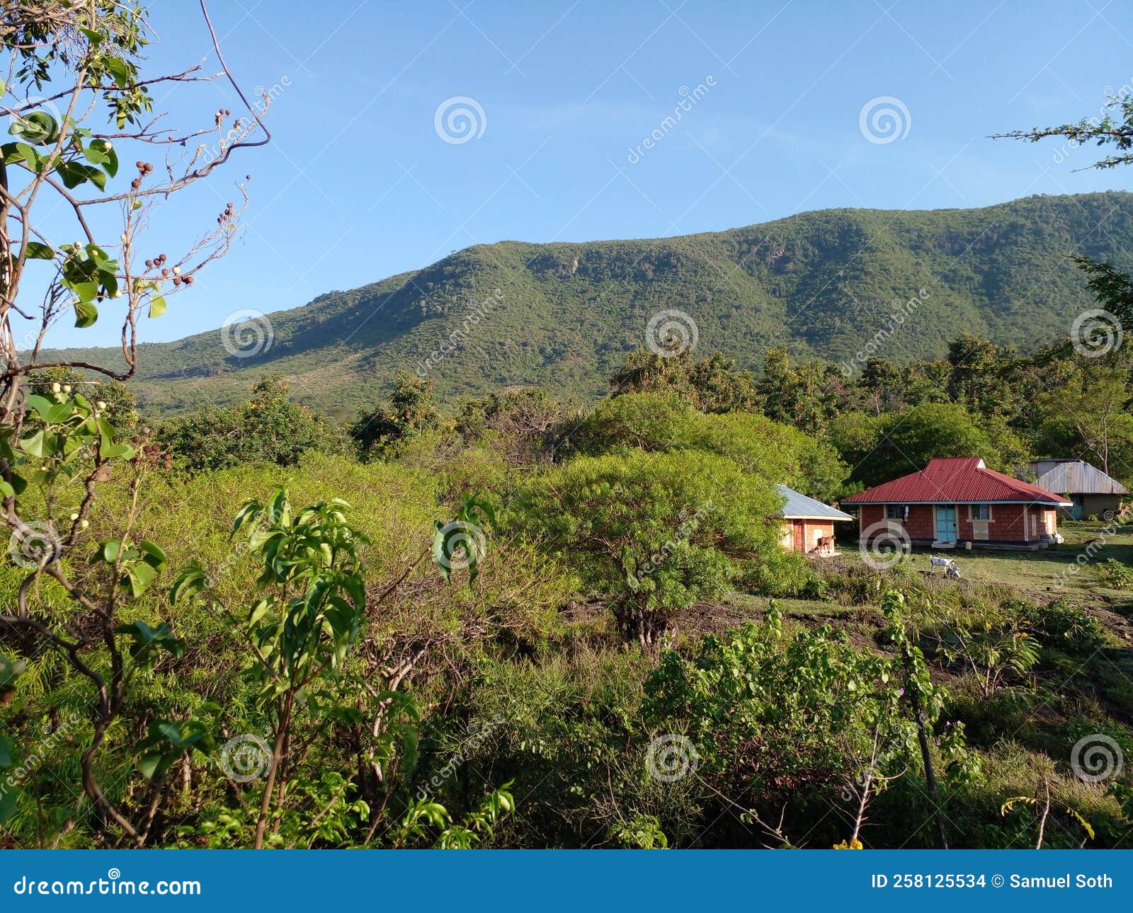 Look.review stock photo. Image of visit, mfangano, mfanga - 258125534