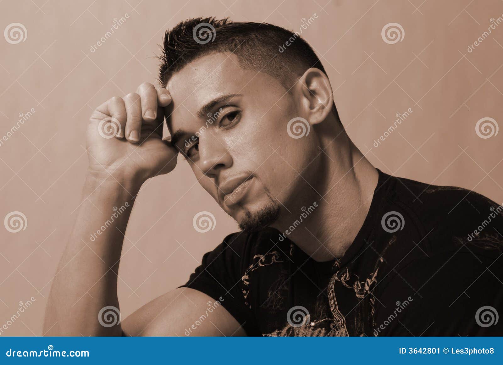 The look sepia stock image. Image of fashionable, model - 3642801