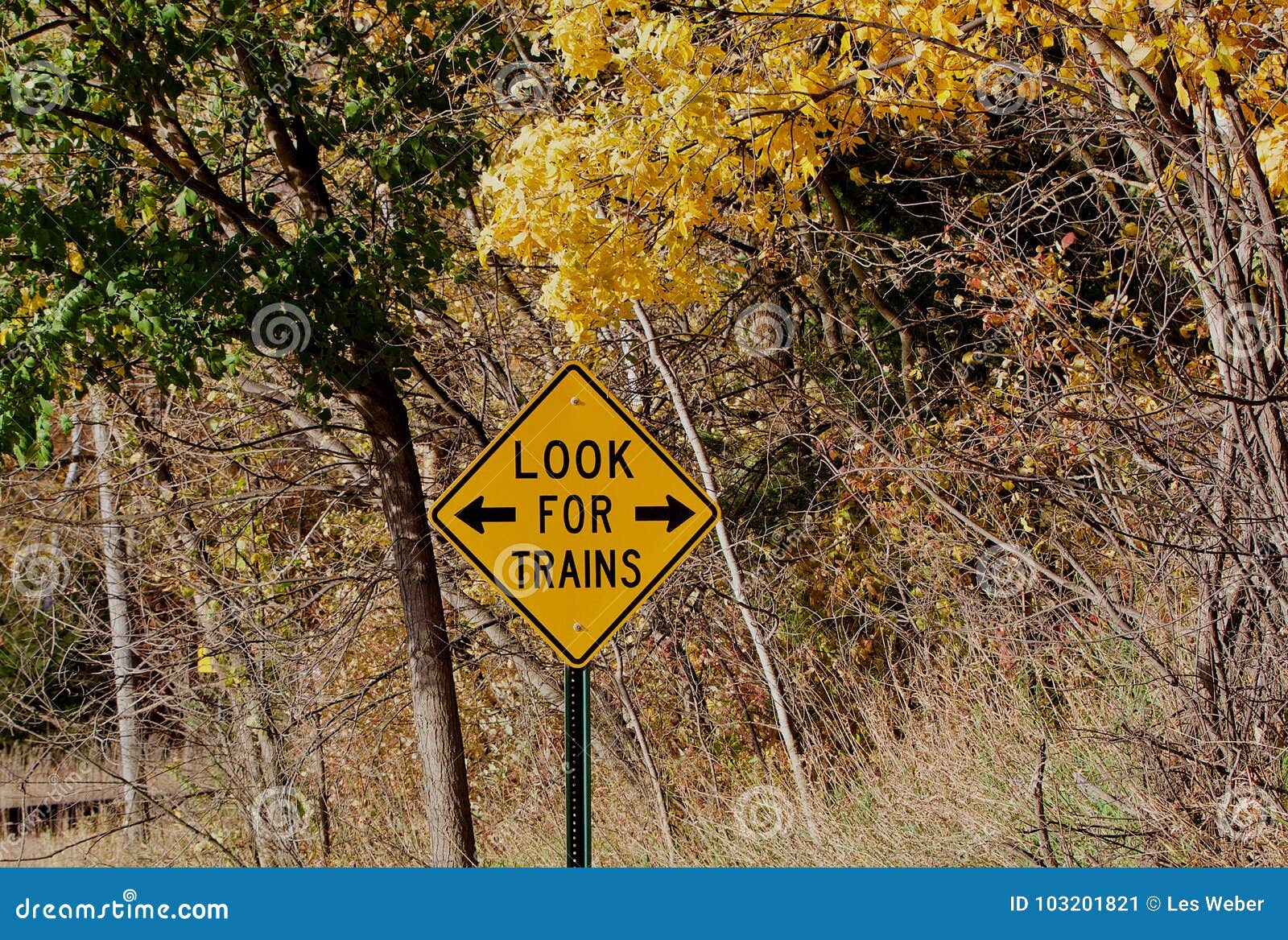 Look for trains stock image. Image of sing, notice, rail - 103201821
