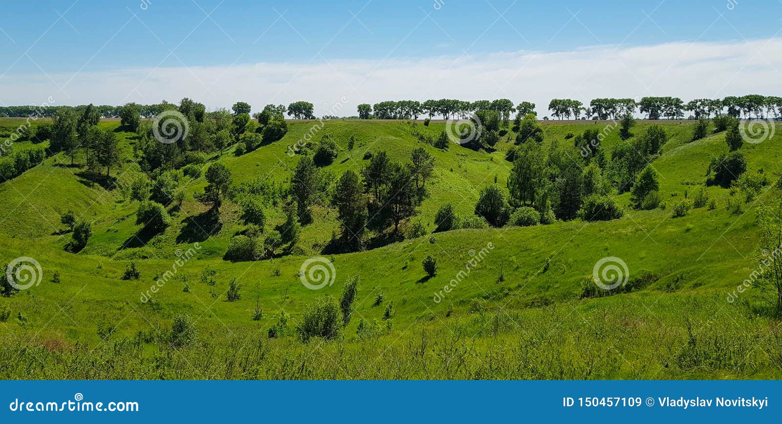 A Look at the Trees and the Blue Summer Sky Stock Image - Image of ...