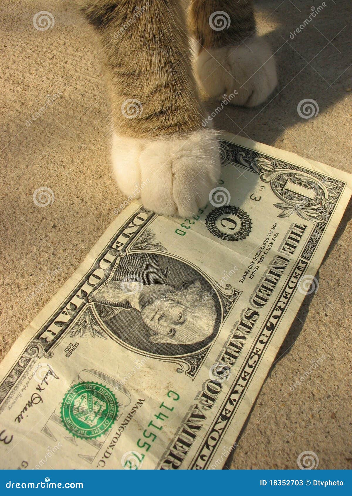 Look under legs stock image. Image of slump, concept - 18352703