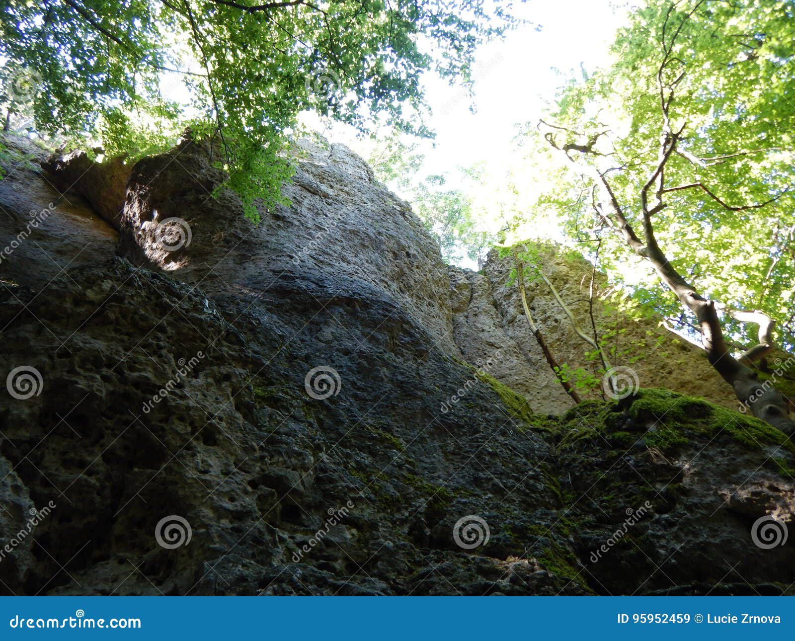 Look Up at the Rock Cliff in Forest Stock Image - Image of adventure ...