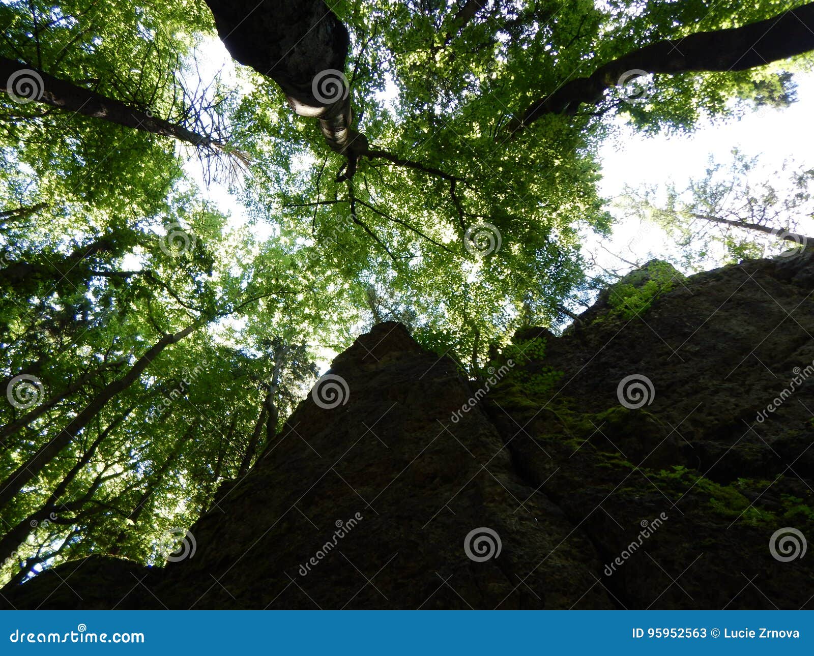 Look Up at the Rock Cliff in Forest Stock Image - Image of bolt, eroded ...