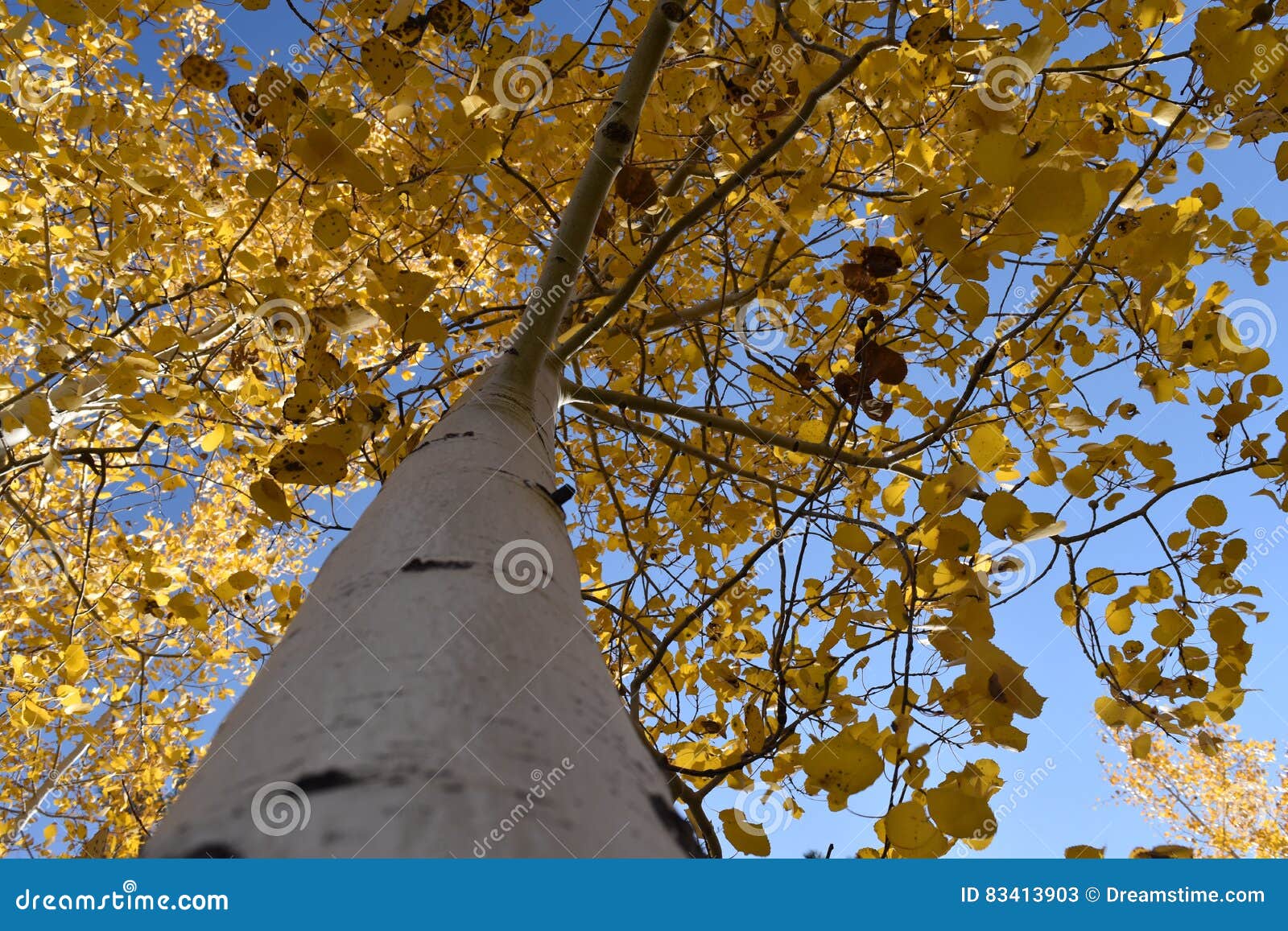 Look Up! & X28;Unedited& X29; Stock Image - Image of look, beautiful ...
