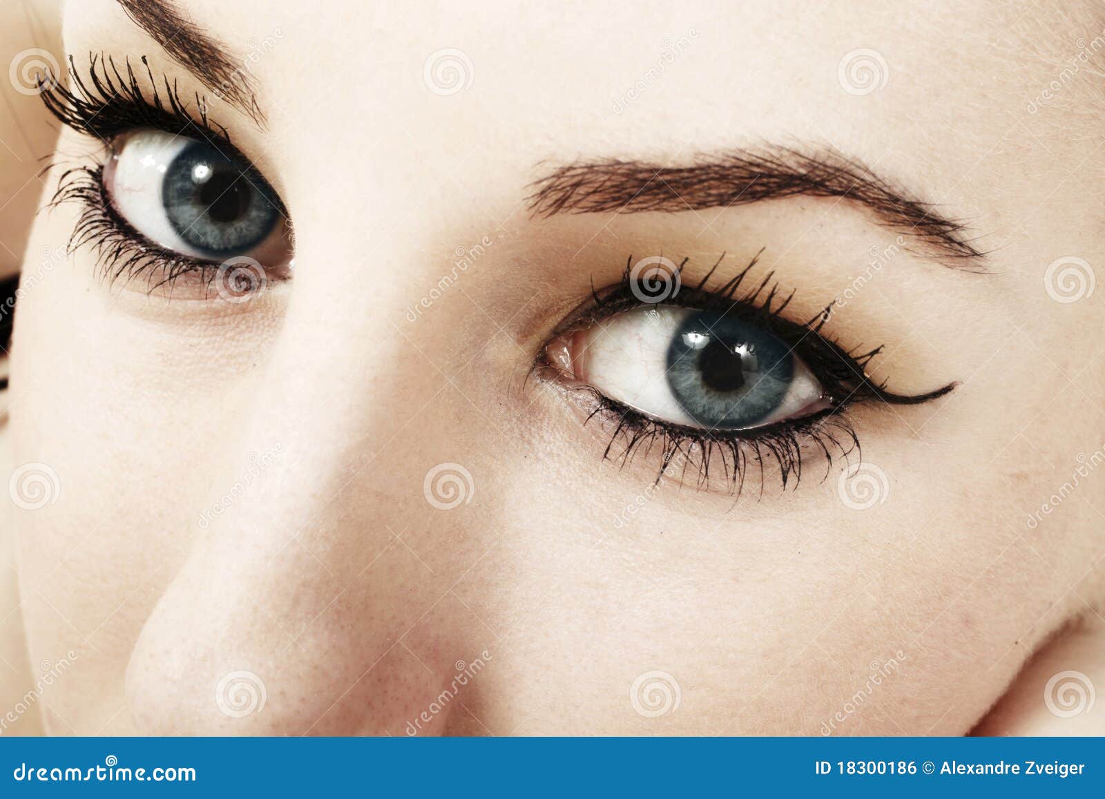 Look very nice stock photo. Image of eyebrows, girl, makeup - 18300186