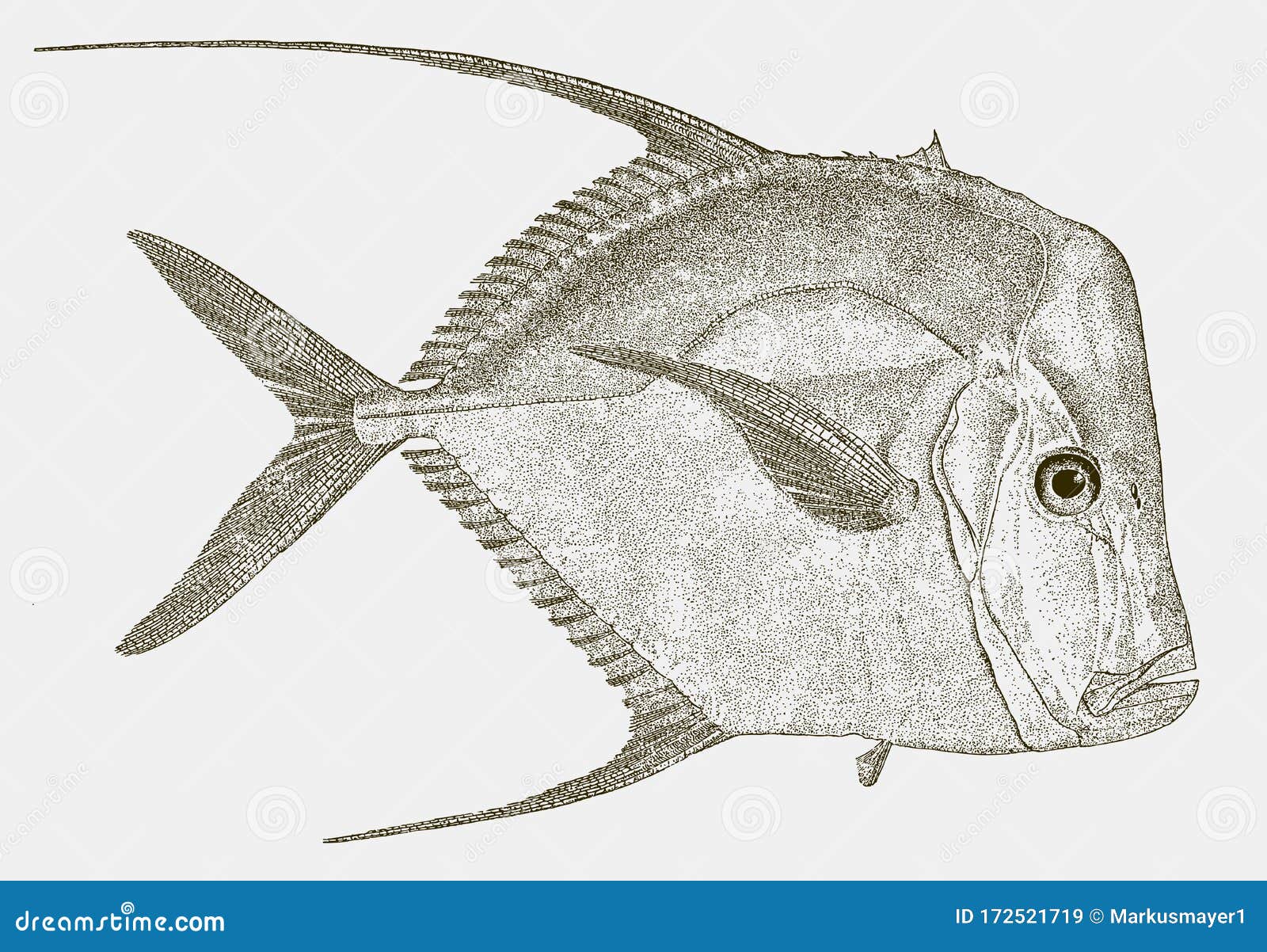 Lookdown Cartoons, Illustrations & Vector Stock Images - 41 Pictures to ...