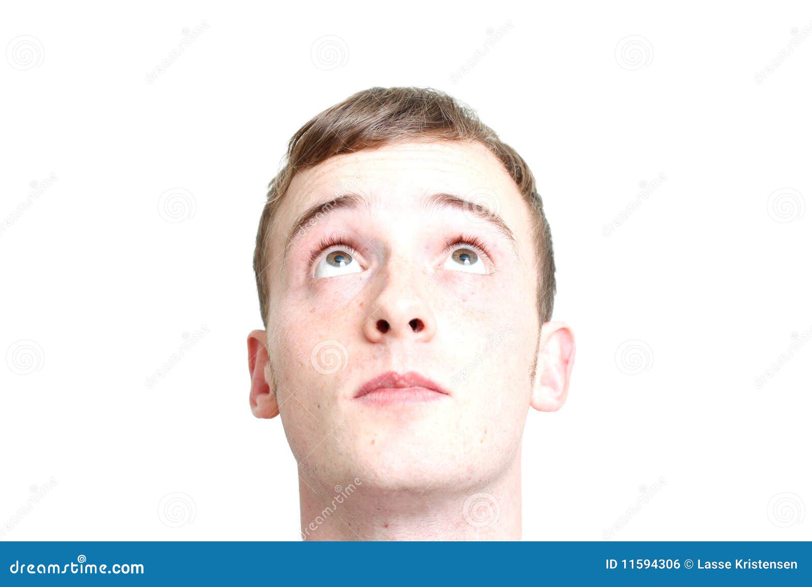 Looking stock photo. Image of head, copyspace, happy - 11594306