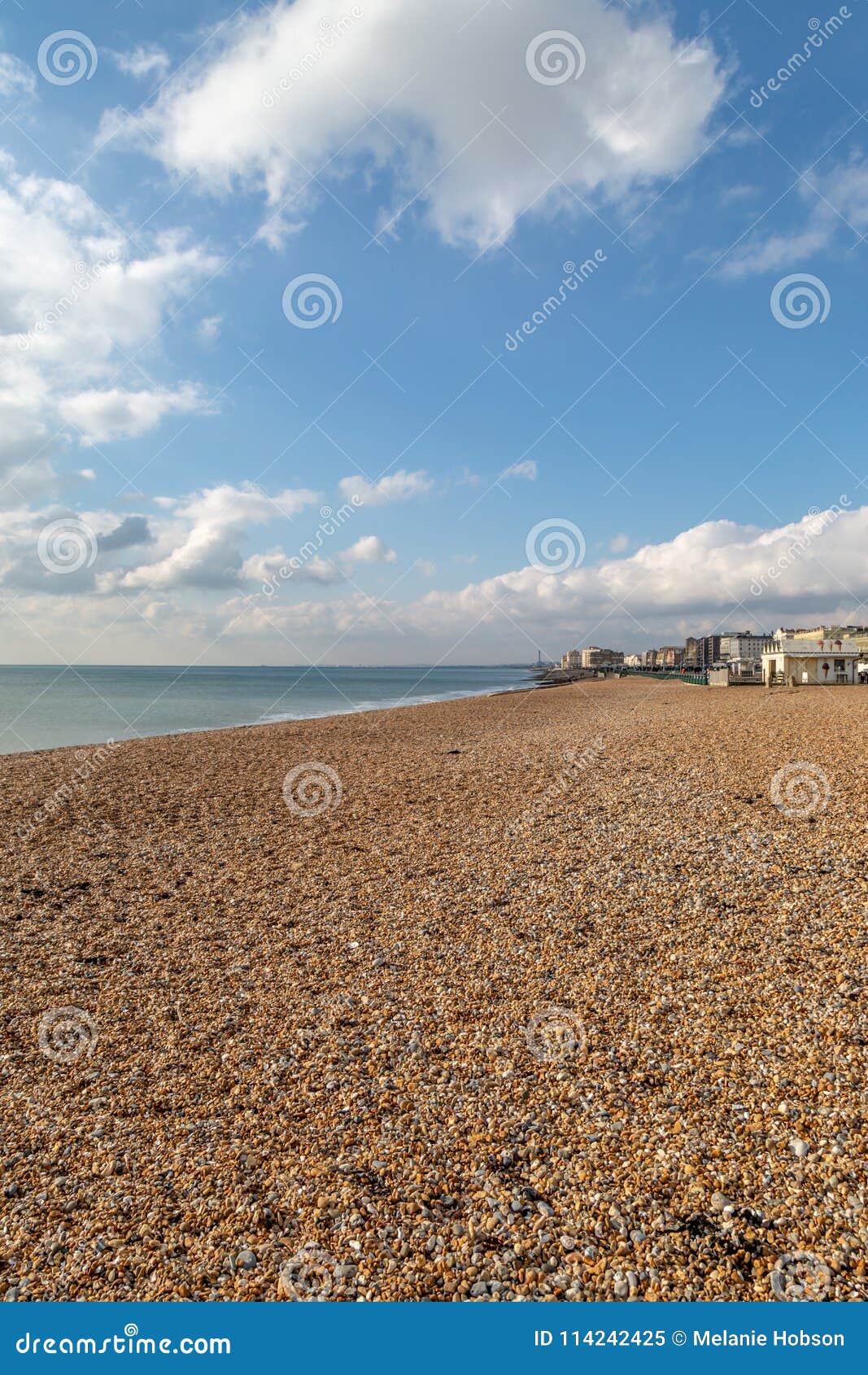 The Pebble Beach at Brighton Stock Image - Image of outdoors, holidays ...