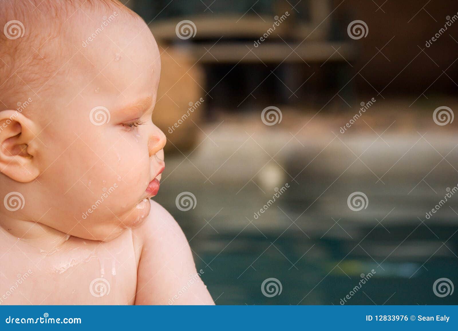 Looking Back stock photo. Image of face, head, chubby - 12833976