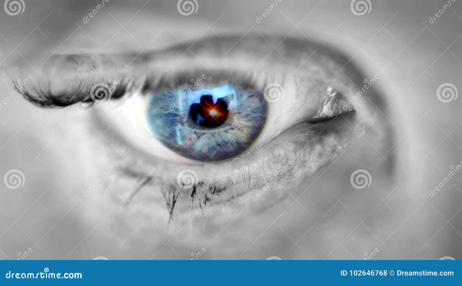 Looking back at memories stock photo. Image of colorfull - 102646768