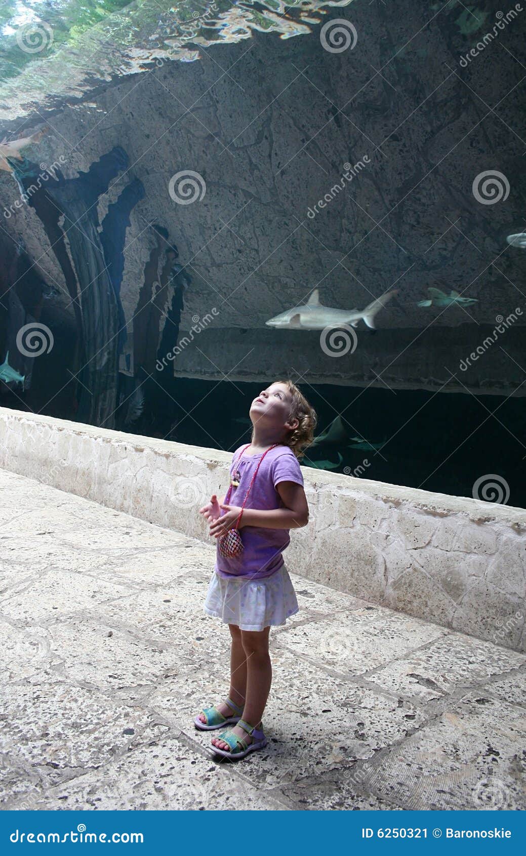 Looking Beyond stock image. Image of educate, stone, education - 6250321