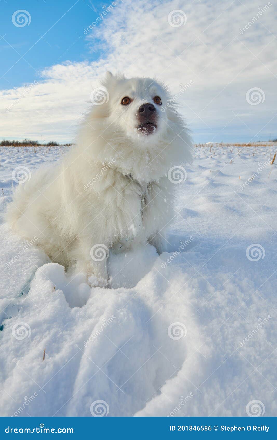 Looking a Bit Bewildered is it always this Cold in Canada American ...