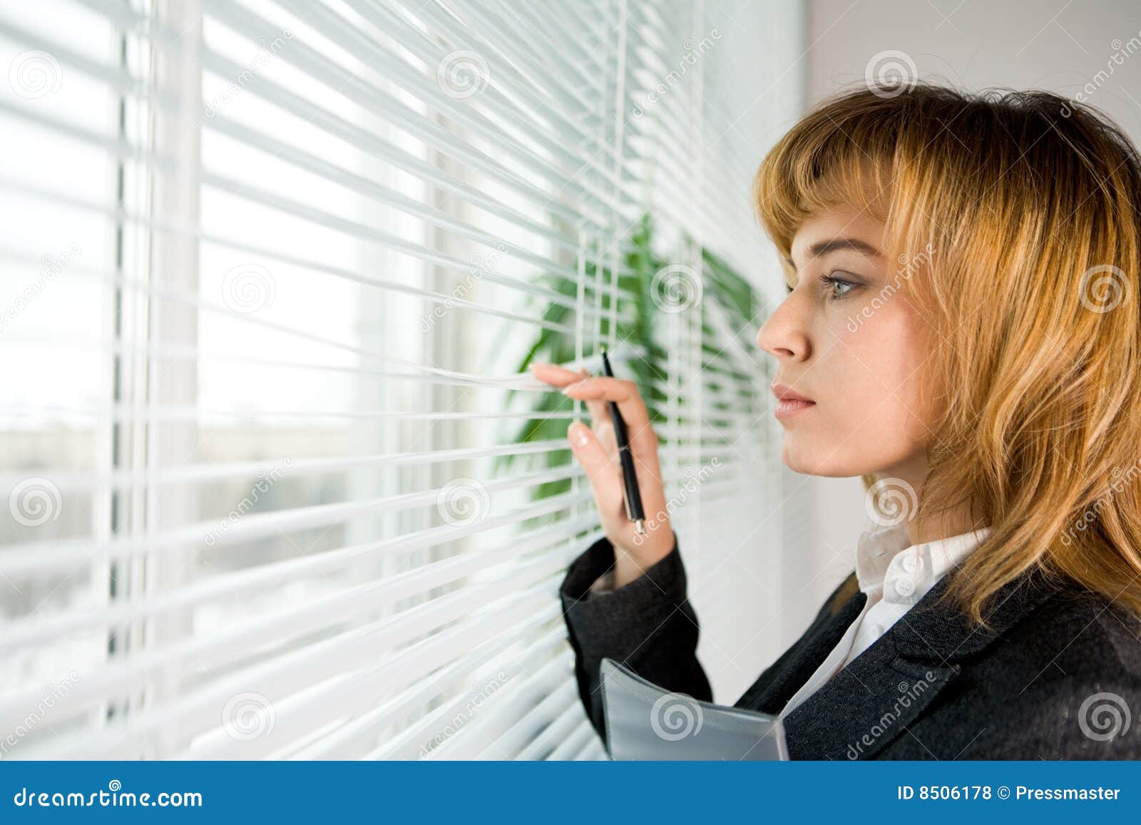 Looking through blinds stock photo. Image of collar, holding - 8506178