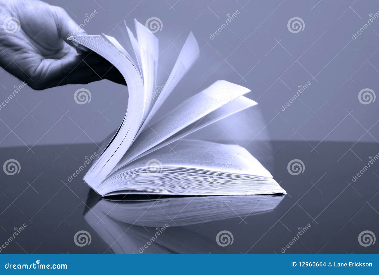 Looking through Book stock photo. Image of objects, blank - 12960664