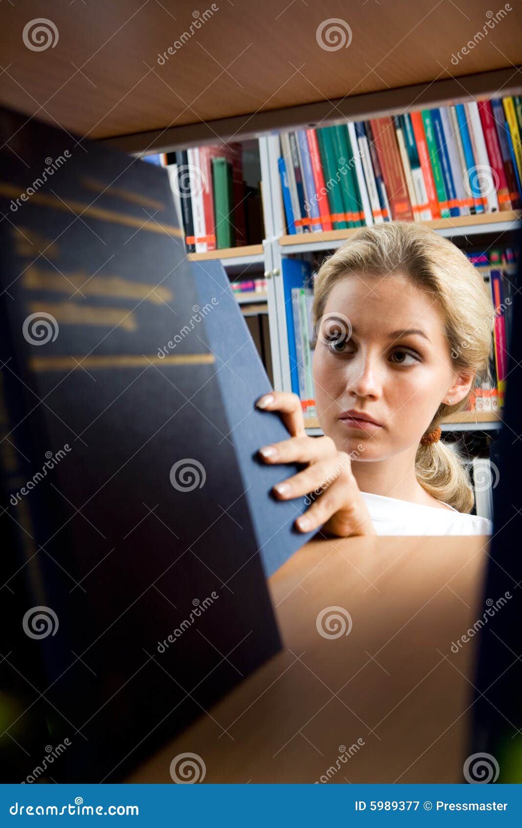 Looking for a book stock image. Image of expression, female - 5989377