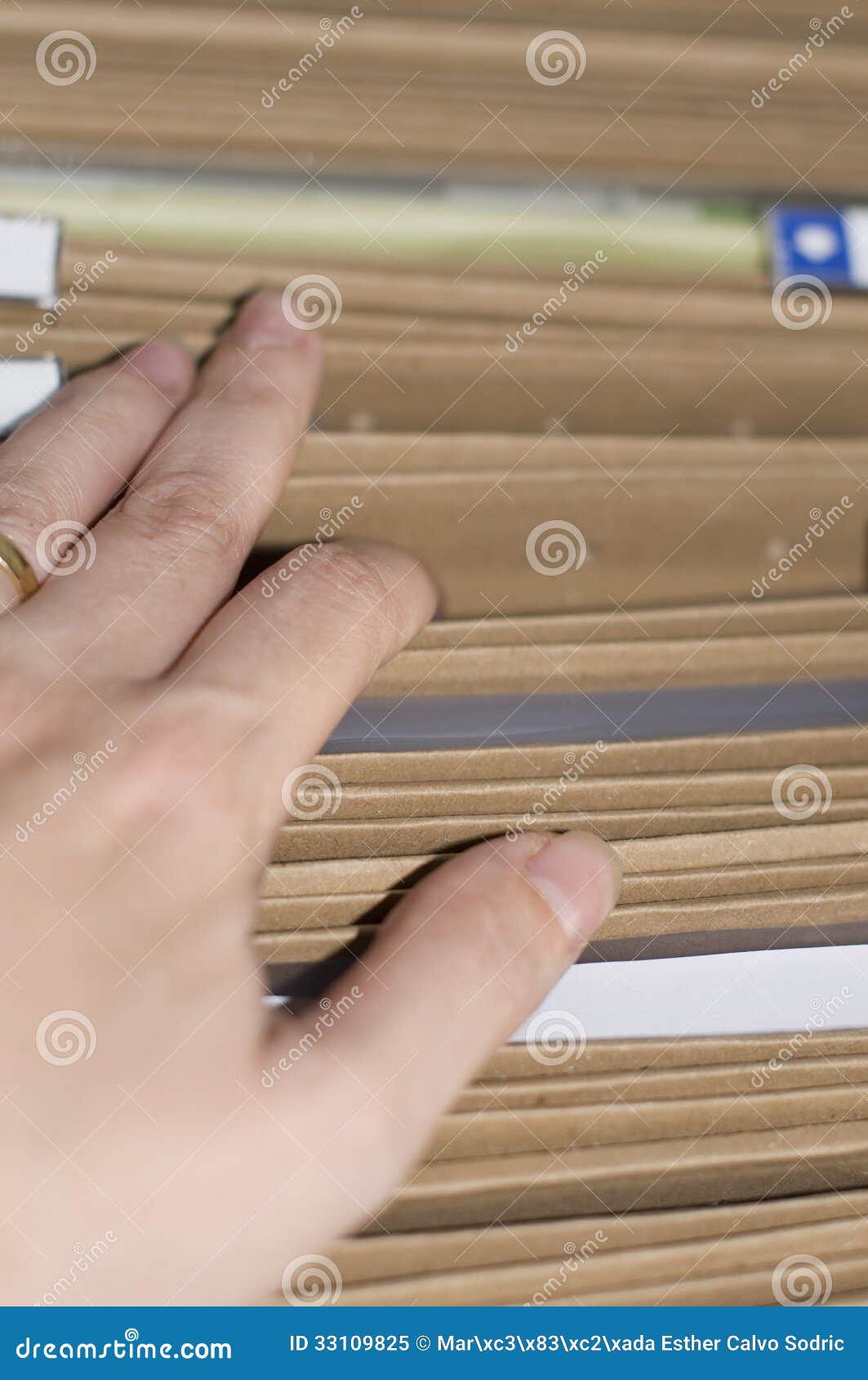 Looking for documents stock image. Image of office, folder - 33109825