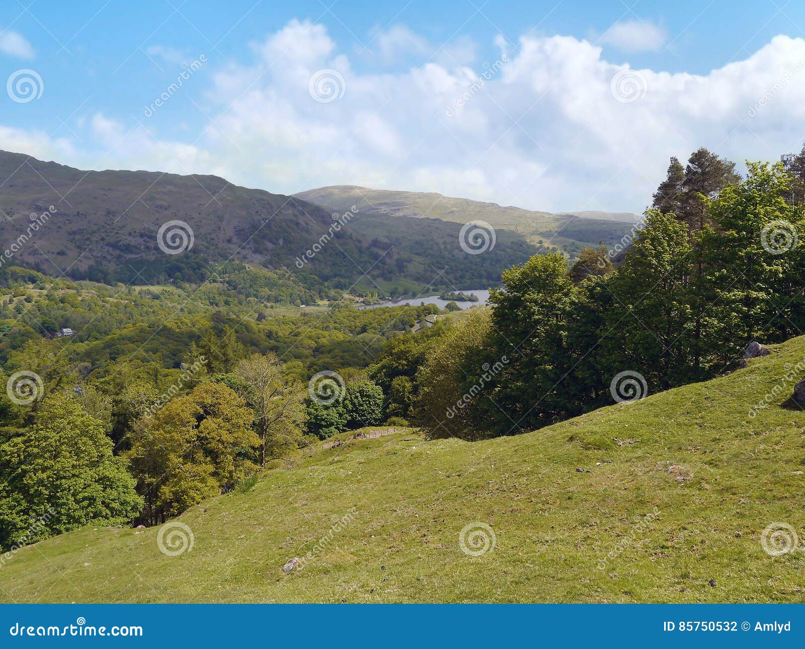 Looking down grassy bank stock photo. Image of lake, mountainous - 85750532
