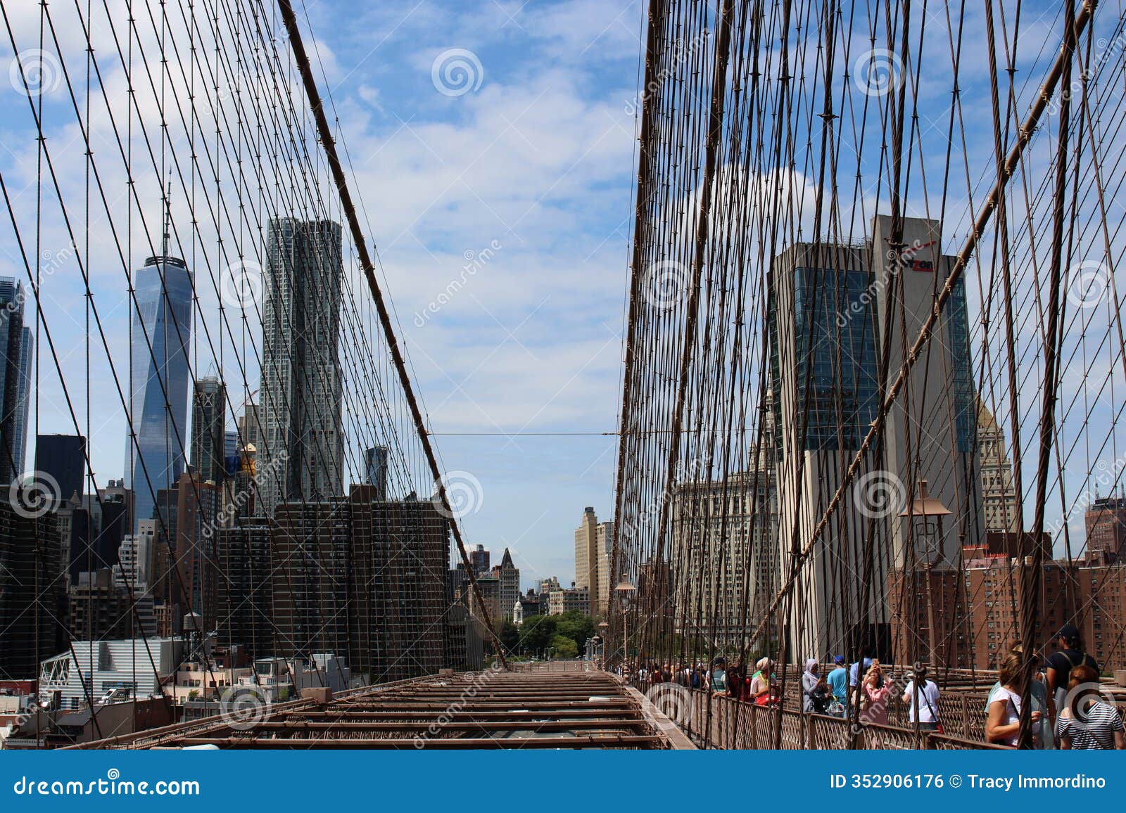 Looking Down between the Main Cables and Suspender Cables Attaching To ...